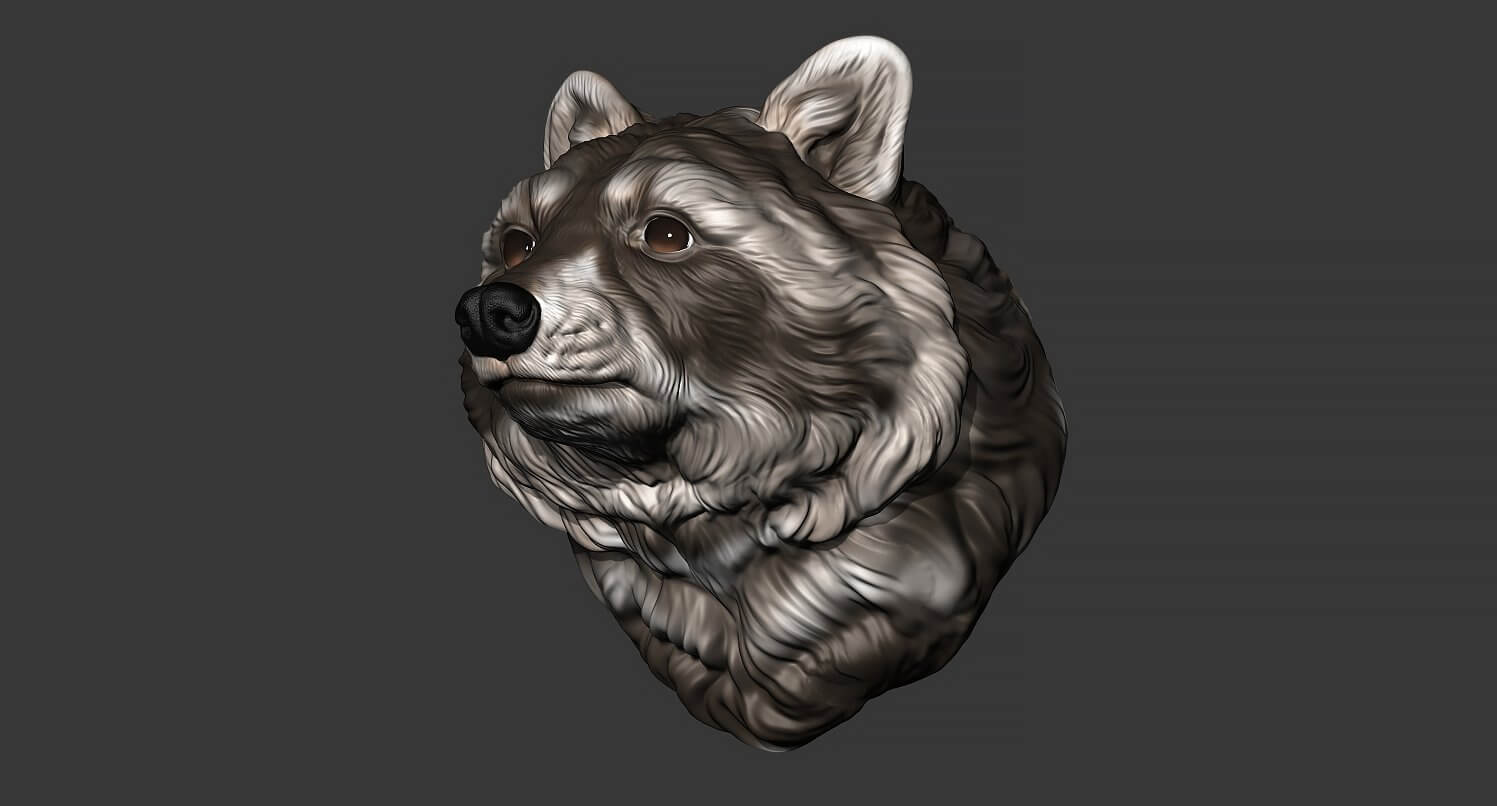 Raccoon Head - 3D Model by guninnik81