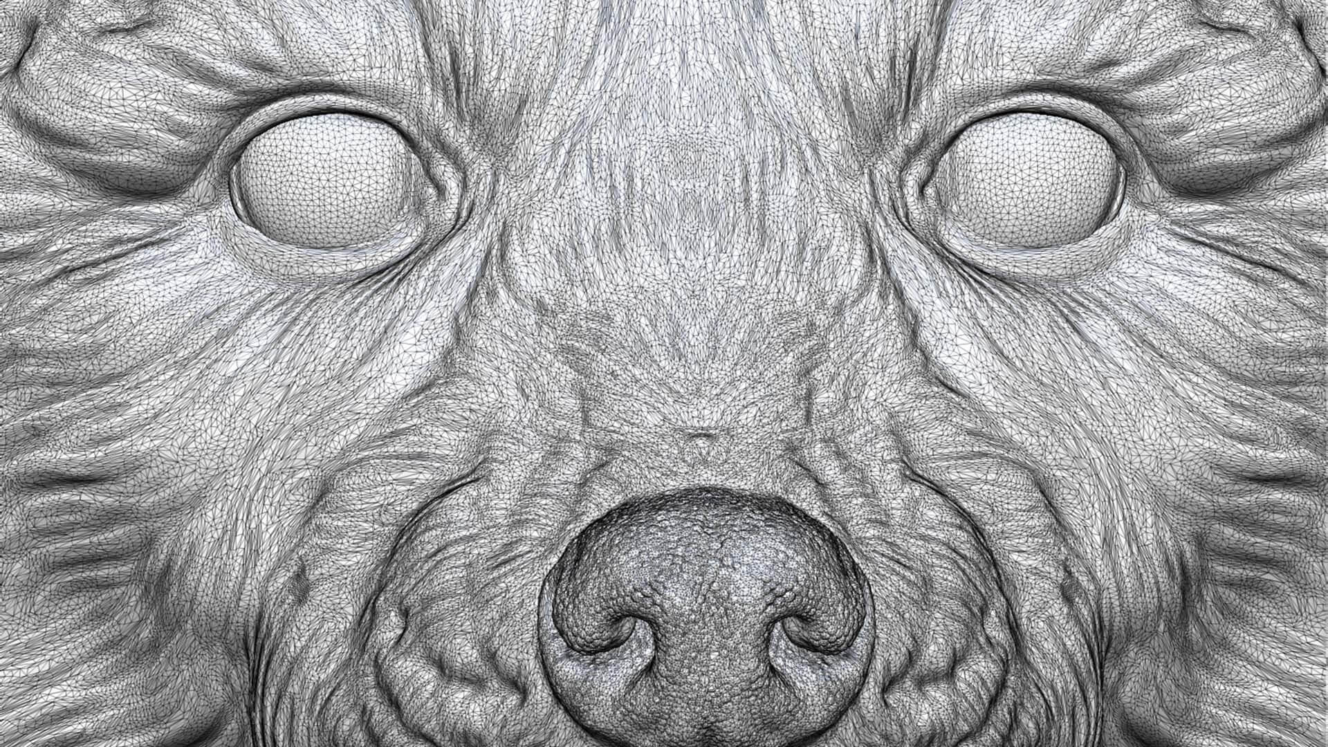 Raccoon Head - 3D Model by guninnik81