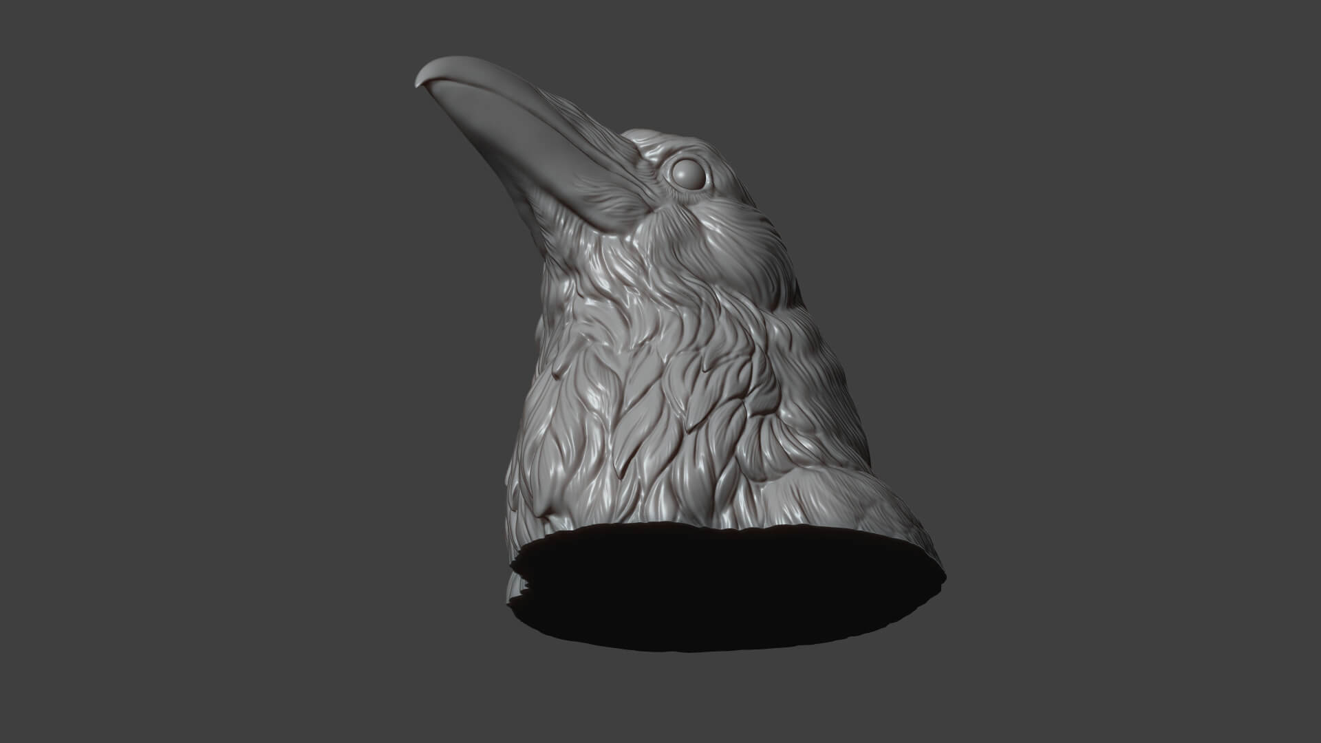 Raven Head Bust - 3D Model by guninnik81