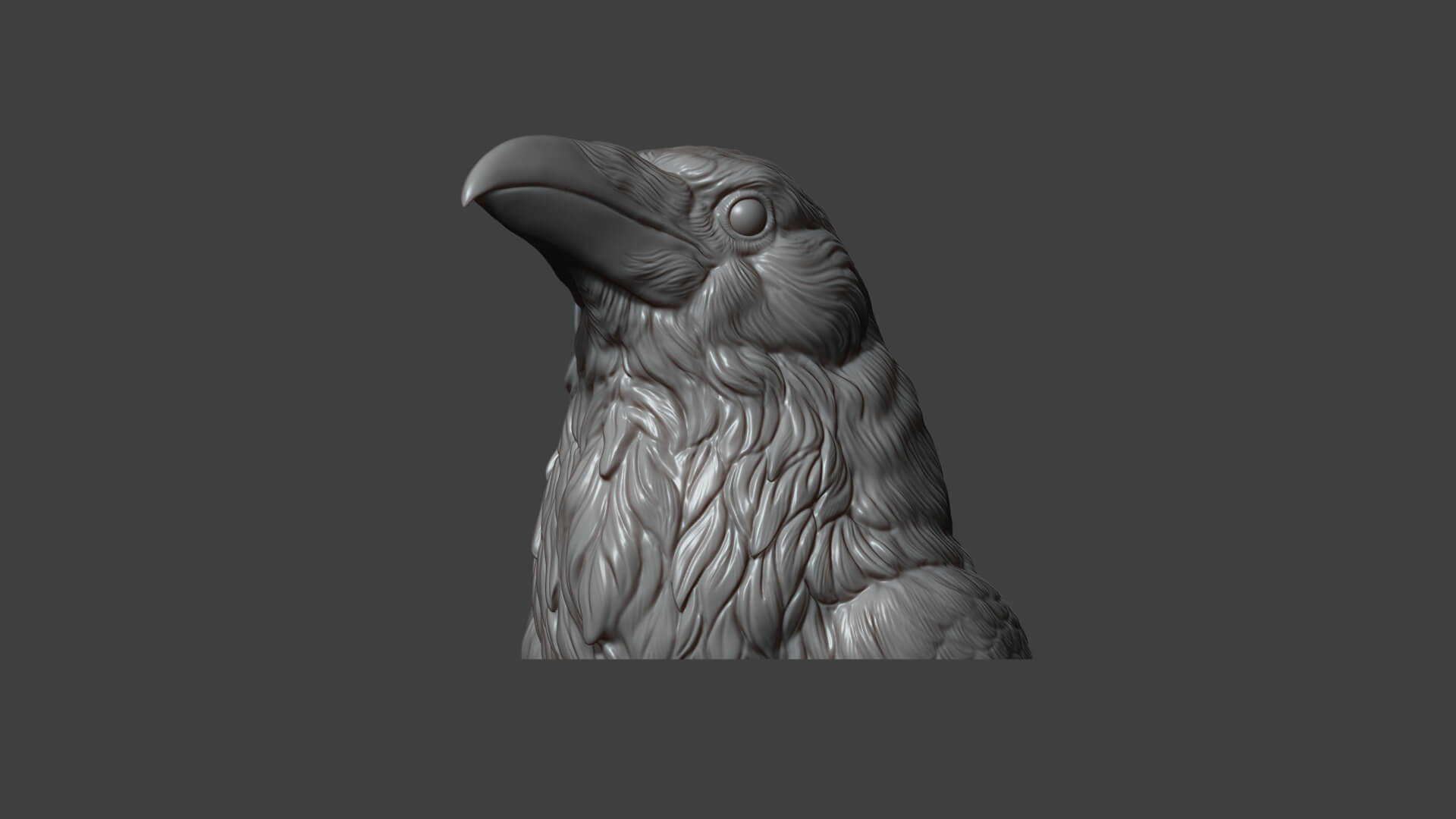 Raven Head Bust - 3D Model by guninnik81