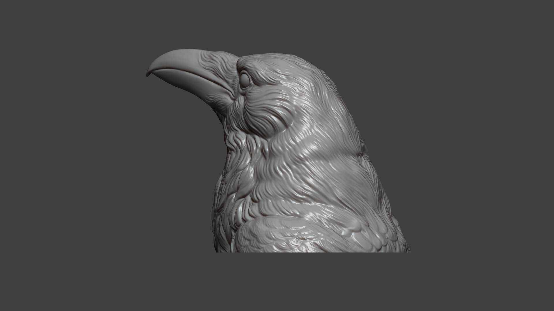 Raven Head Bust - 3D Model by guninnik81