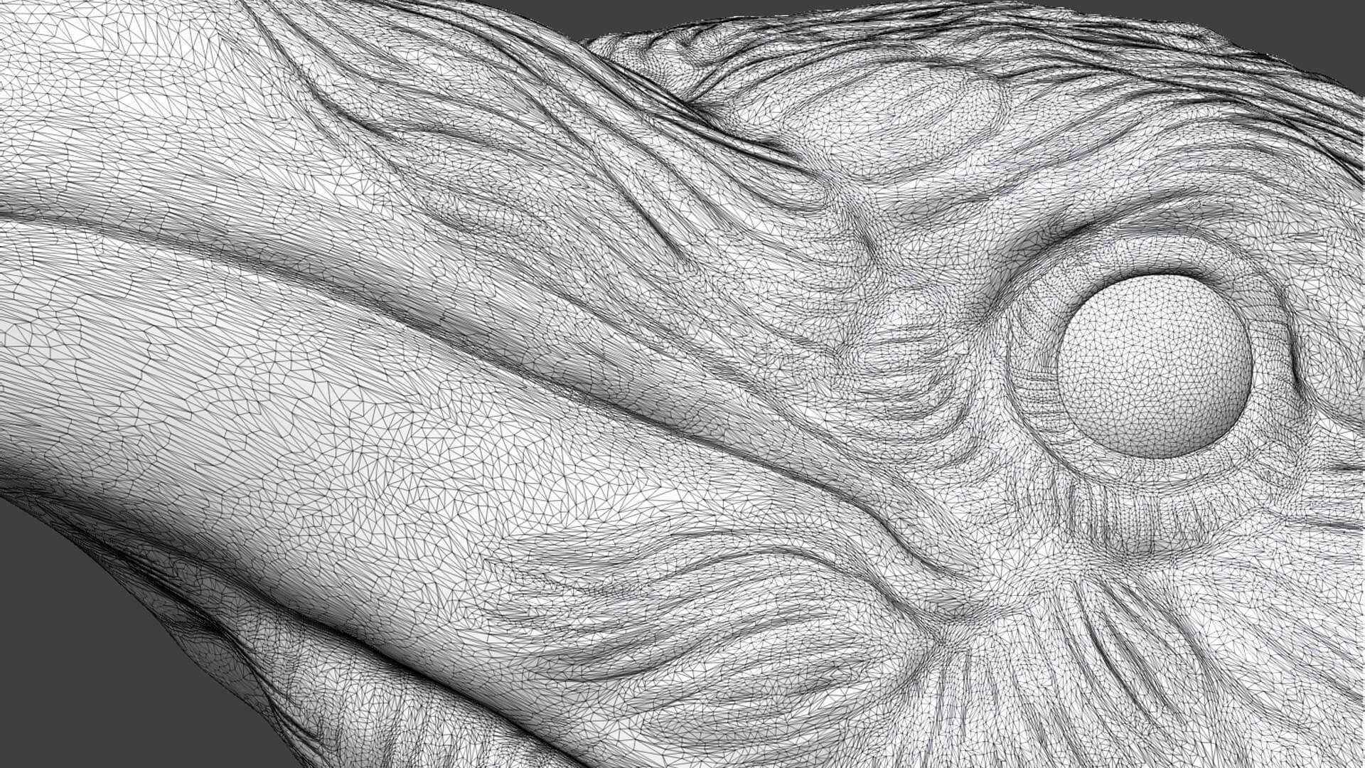 Raven Head Bust - 3D Model by guninnik81