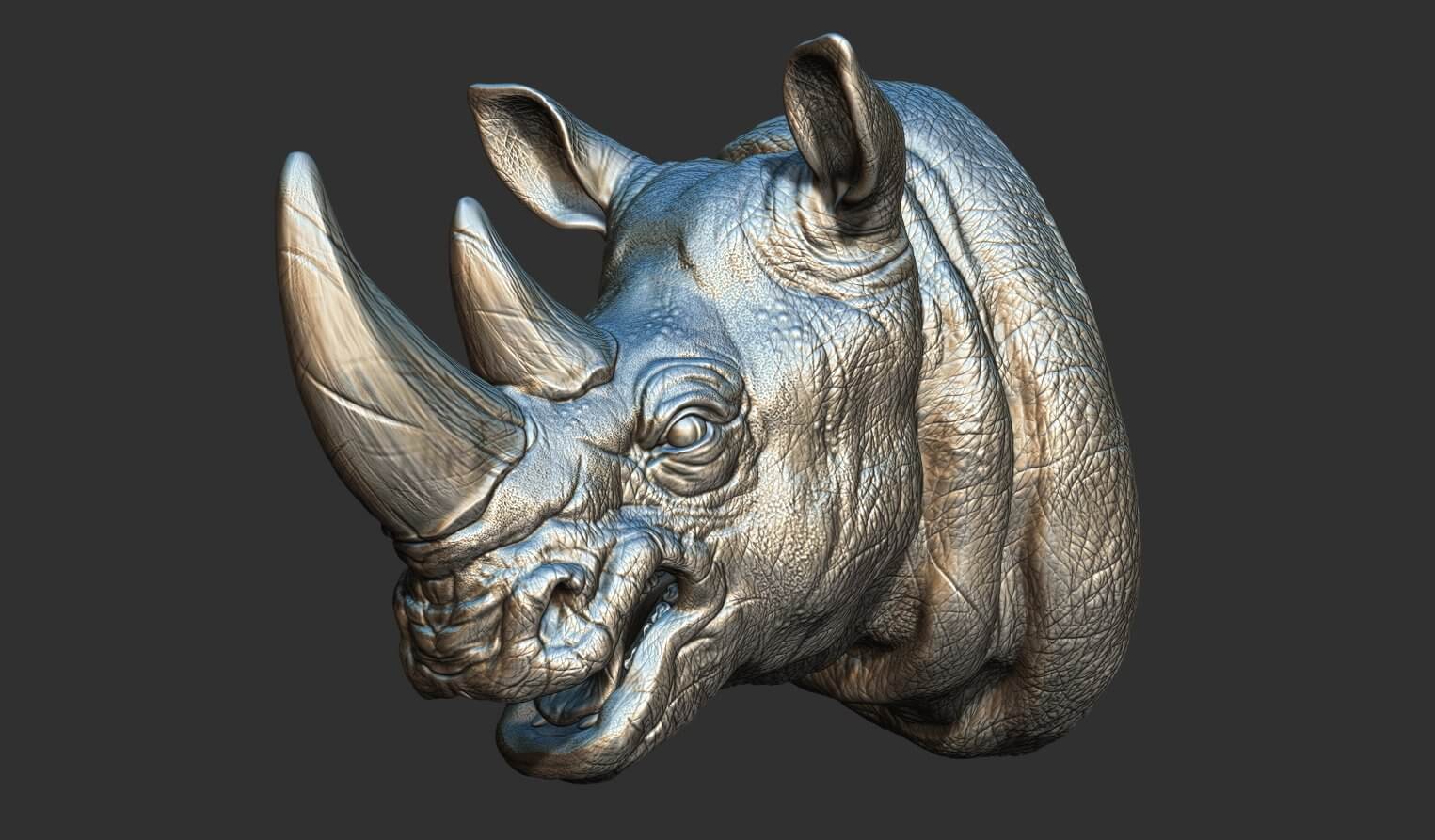Angry Rhinoceros