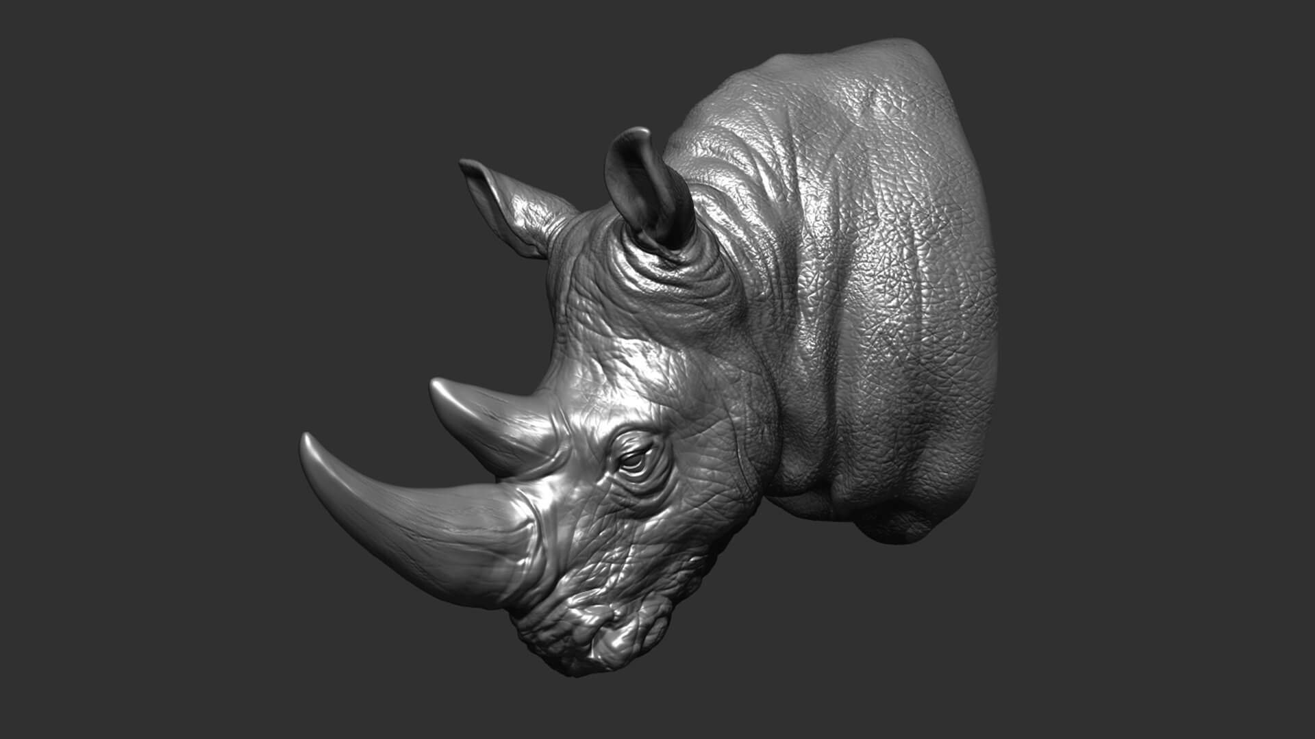 Rhinoceros Head - 3D Model by guninnik81