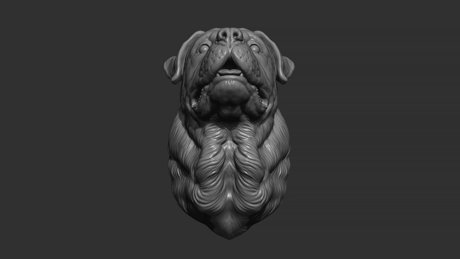 Rottweiler Bust Dog - 3D Print Model by guninnik81