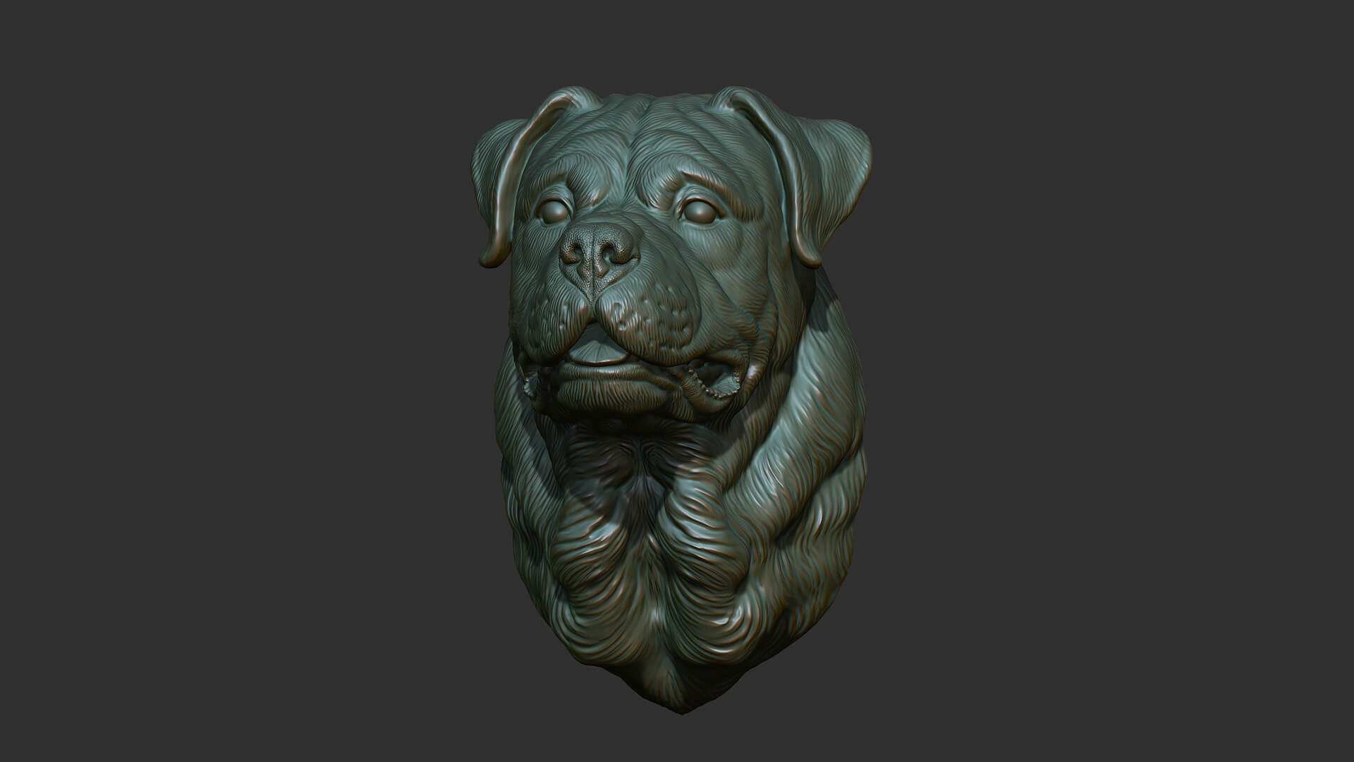 Rottweiler Bust Dog - 3D Model by guninnik81