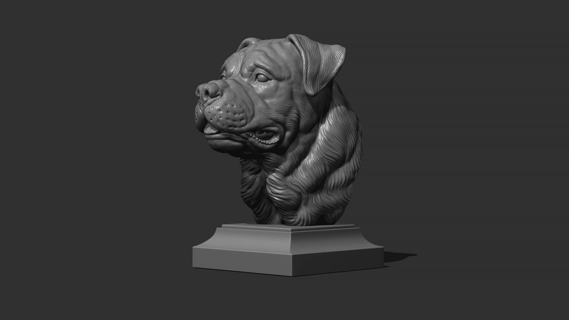 Rottweiler Bust Dog - 3D Print Model by guninnik81