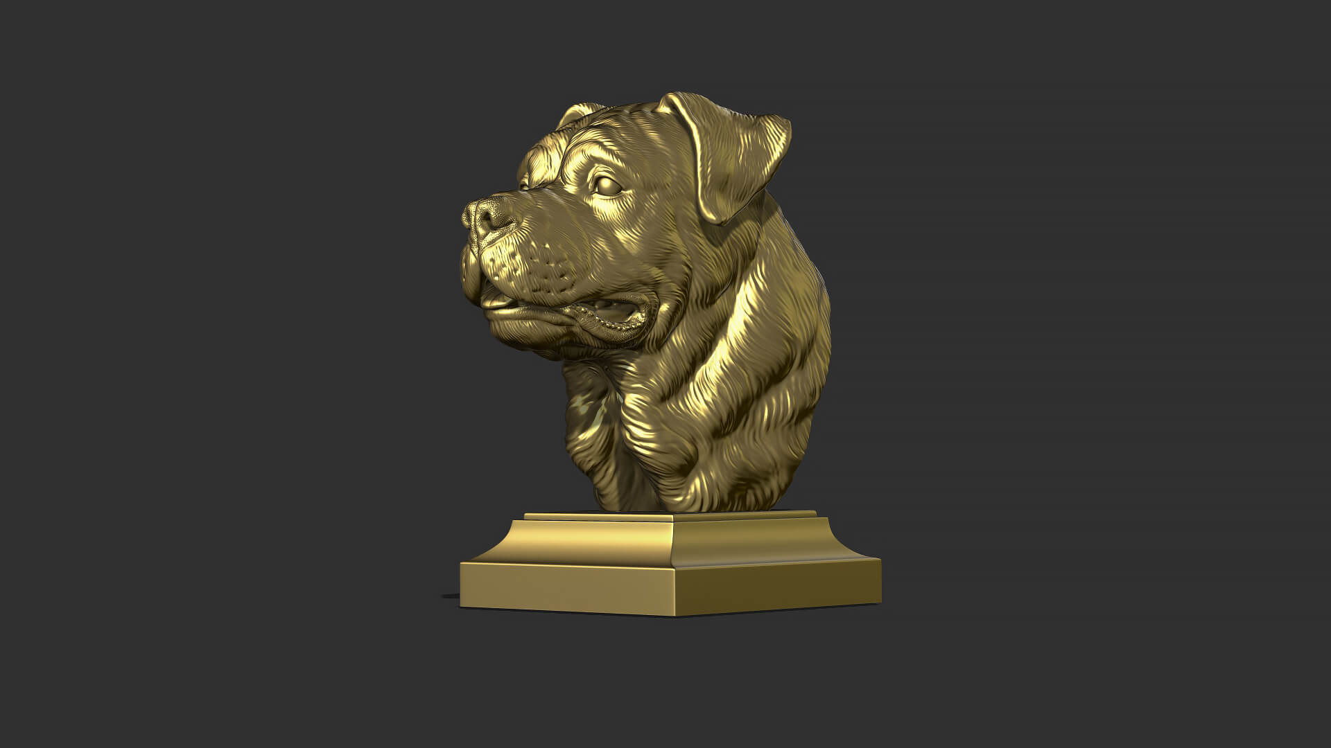 Rottweiler Bust Dog - 3D Print Model by guninnik81