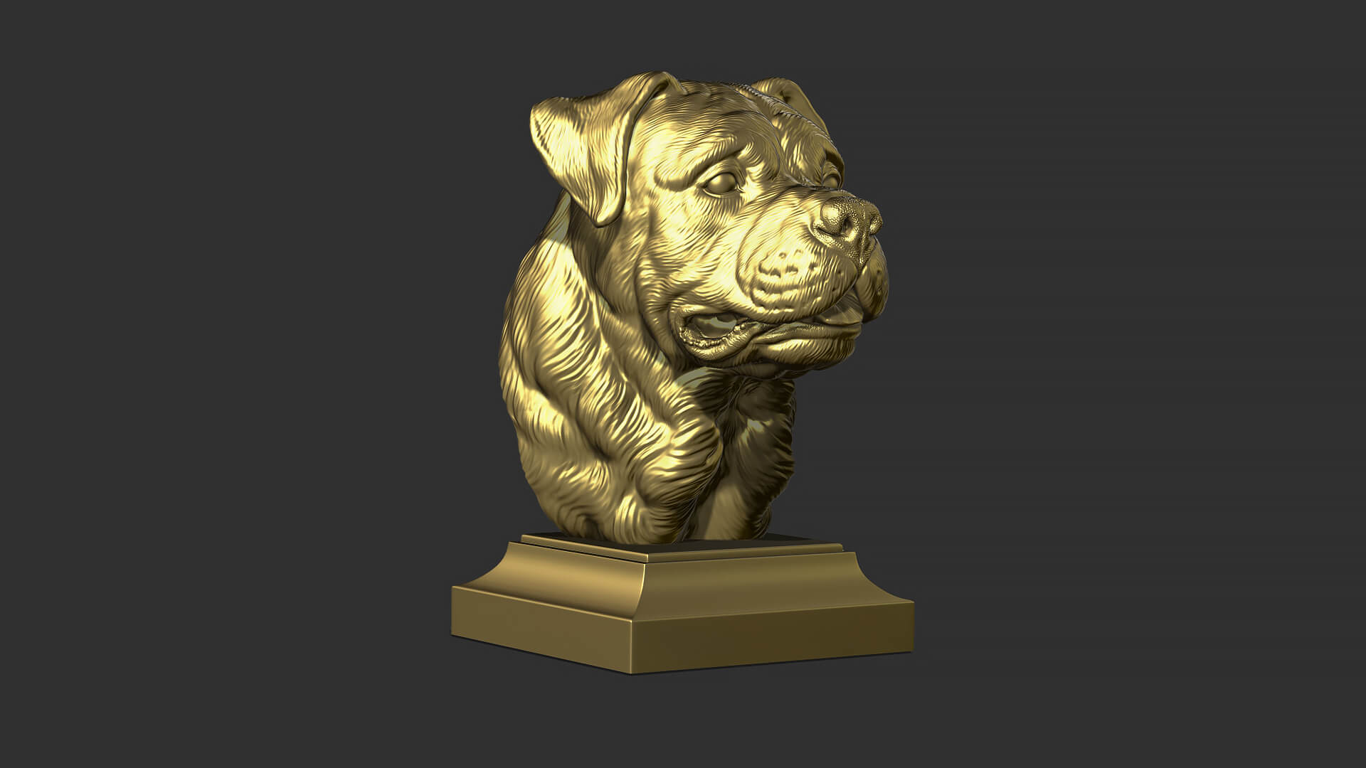 Rottweiler Bust Dog - 3D Print Model by guninnik81