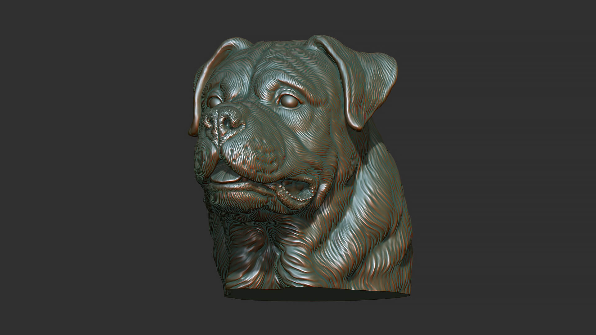 Rottweiler Bust Dog - 3D Model by guninnik81
