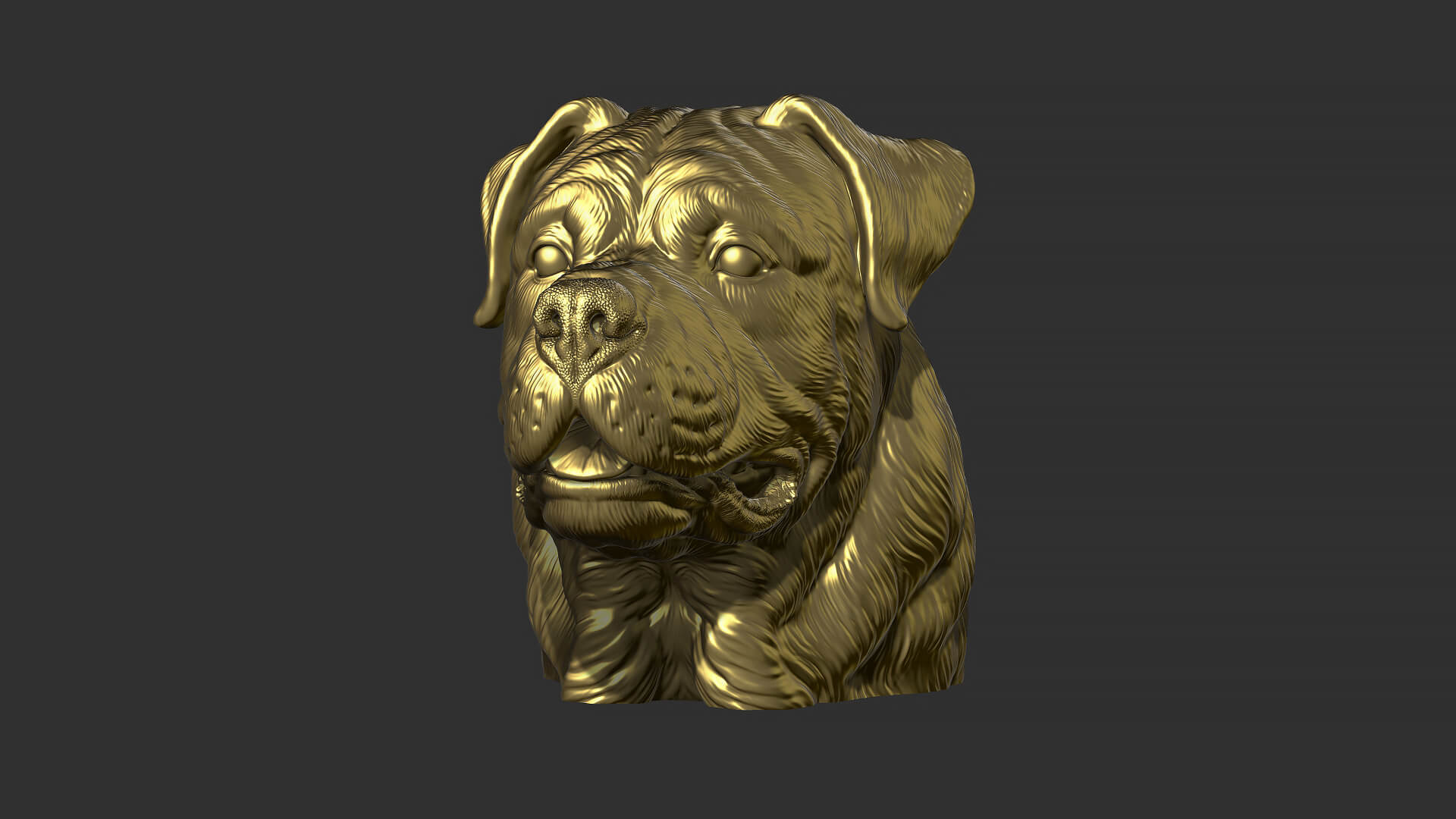 Rottweiler Bust Dog - 3D Print Model by guninnik81