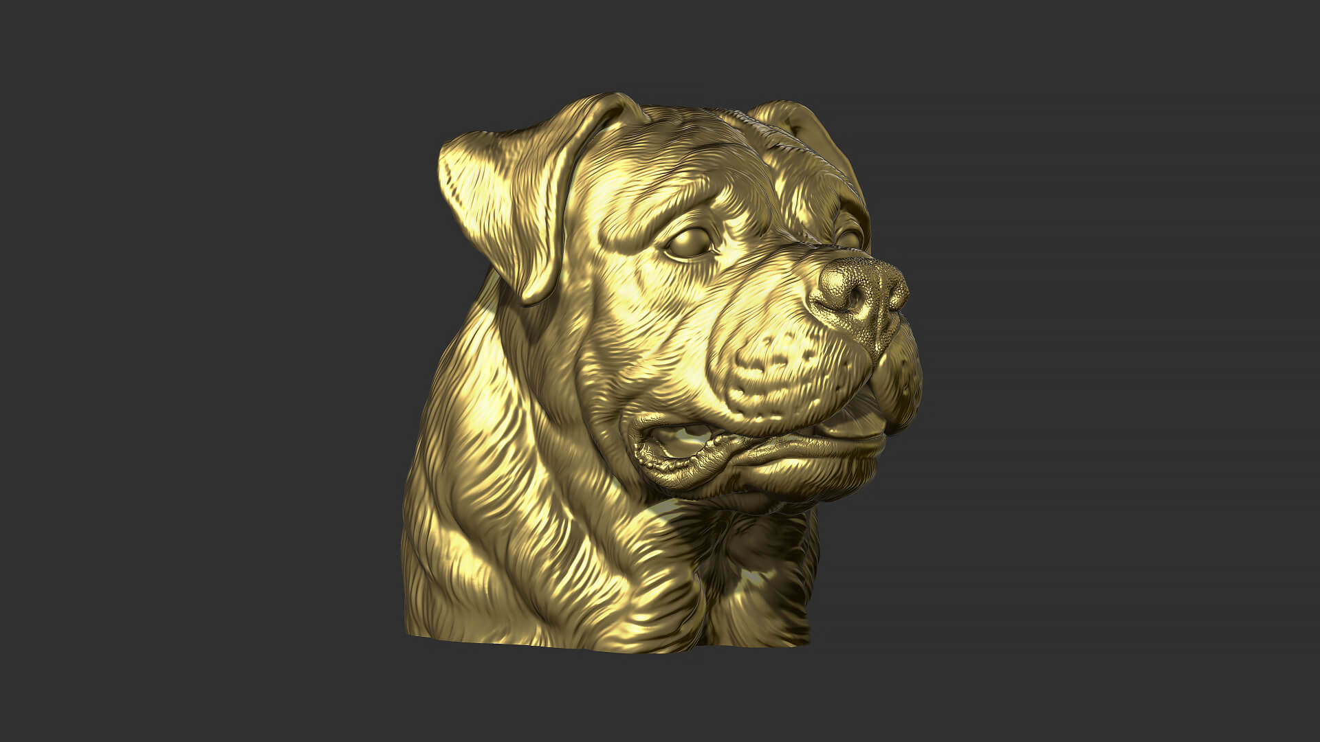 Rottweiler Bust Dog - 3D Print Model by guninnik81