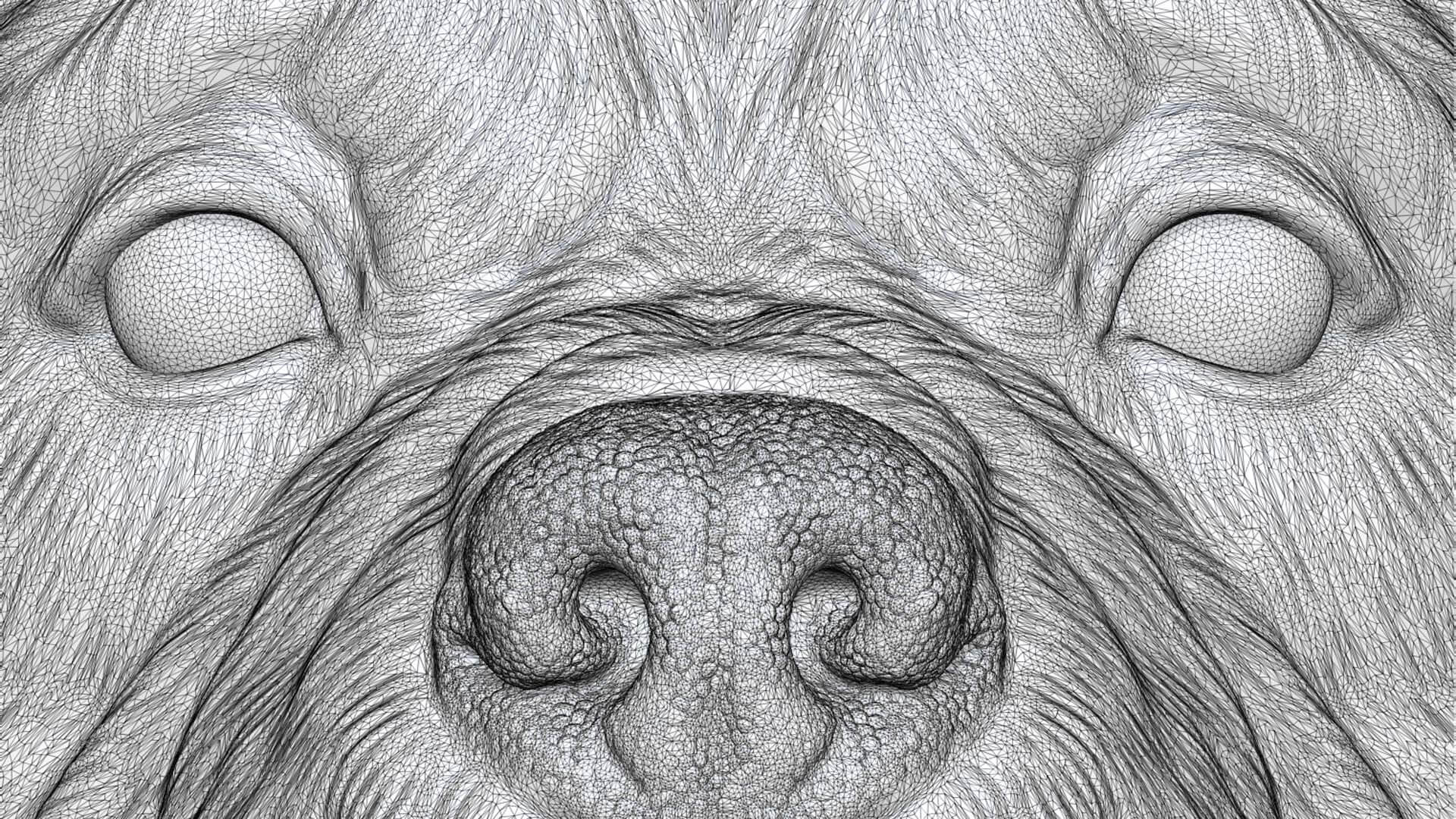 Rottweiler Bust Dog - 3D Print Model by guninnik81