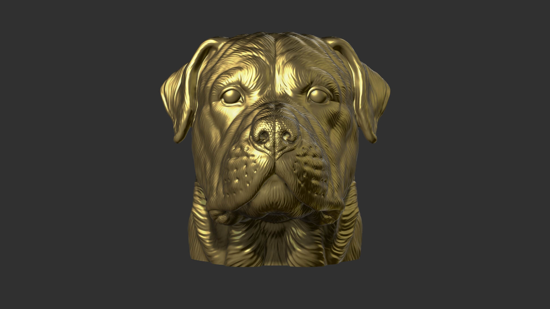 Rottweiler Head Dog - 3D Model by guninnik81