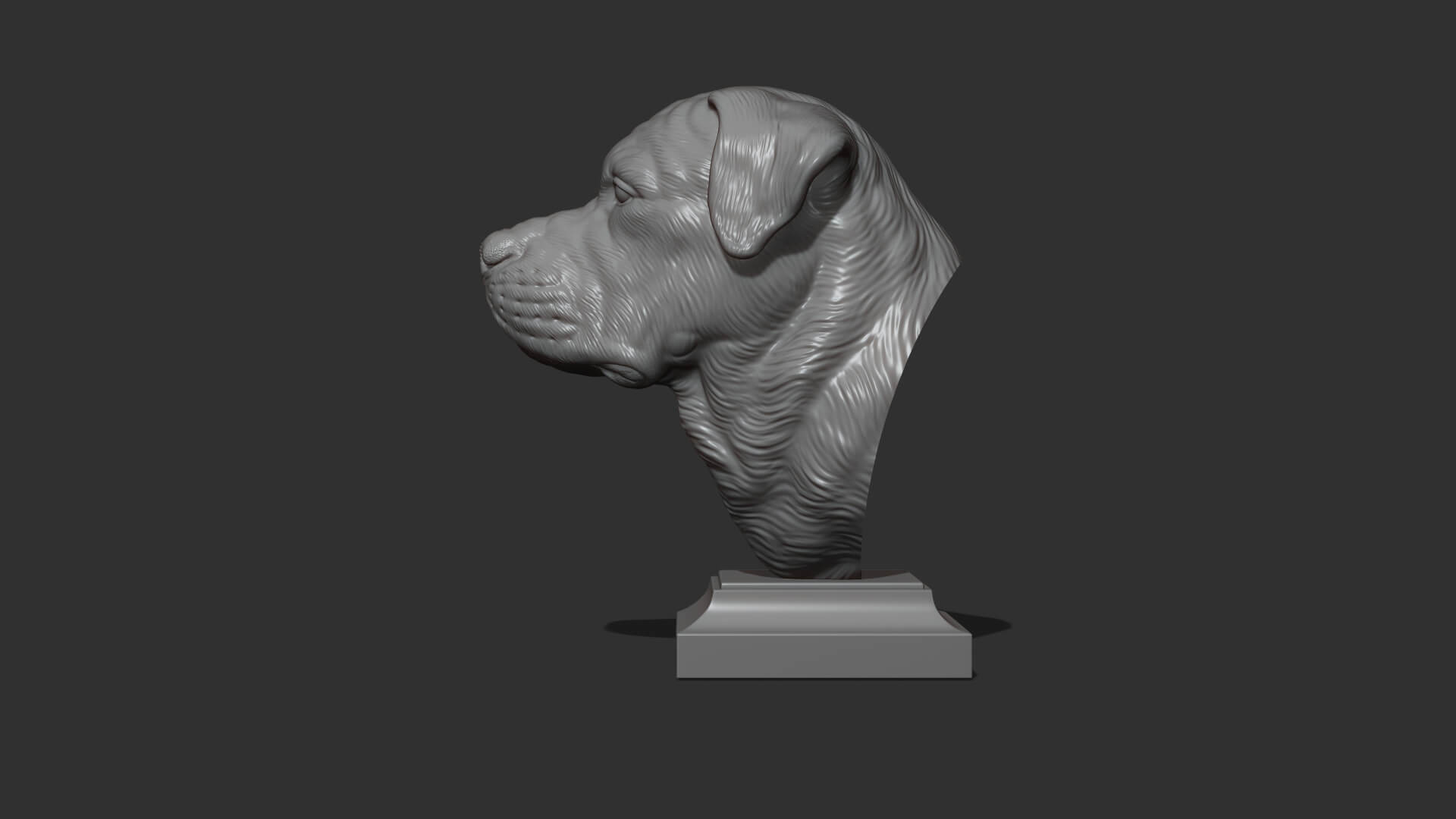 Rottweiler Head Dog - 3D Model by guninnik81