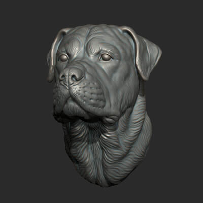 Rottweiler Head Dog - 3D Model by guninnik81