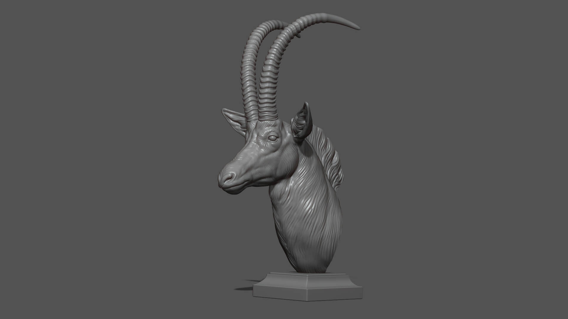 Sable Black Antelope Bust - 3D Model by guninnik81