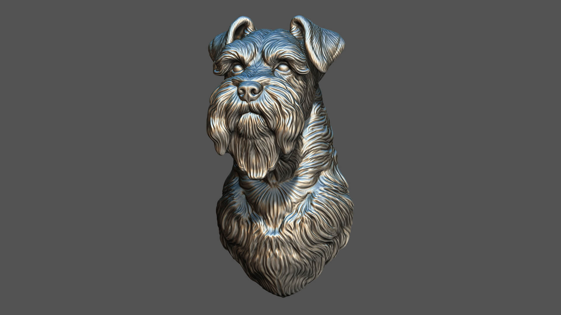 Schnauzer Bust Head - 3D Model by guninnik81