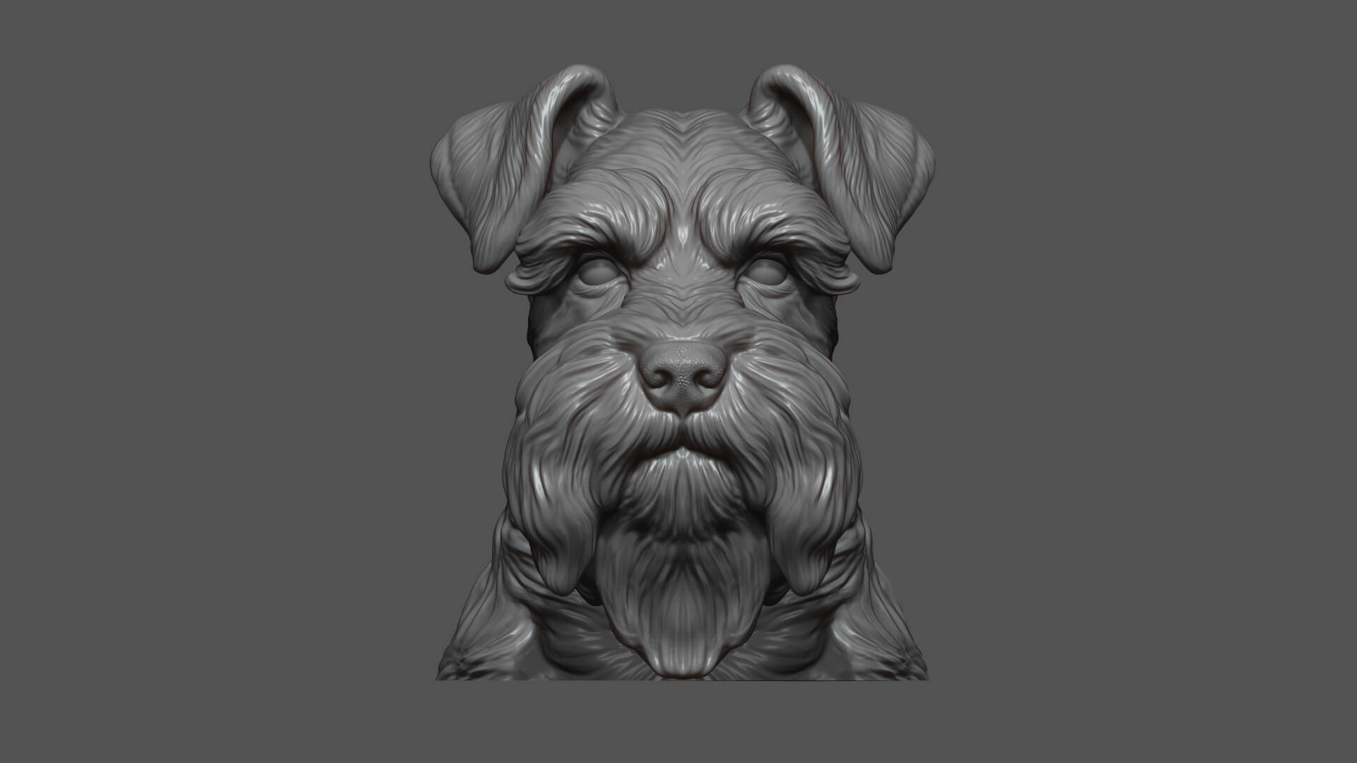 Schnauzer Bust Head - 3D Model by guninnik81