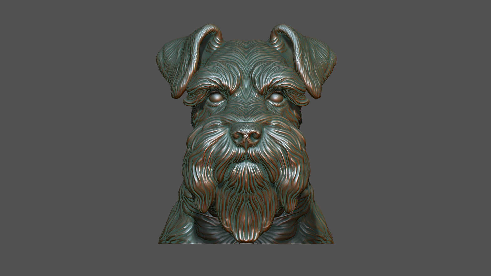 Schnauzer Bust Head - 3D Model by guninnik81