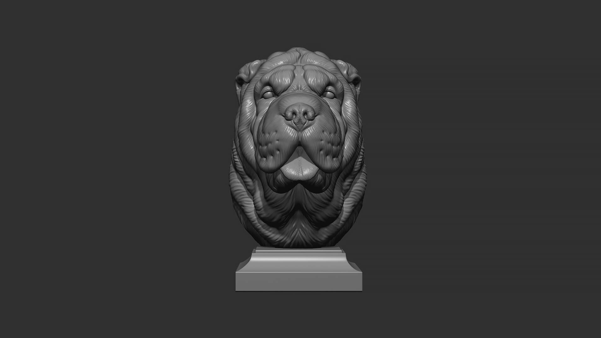 Shar Pei Dog Bust - 3D Model by guninnik81