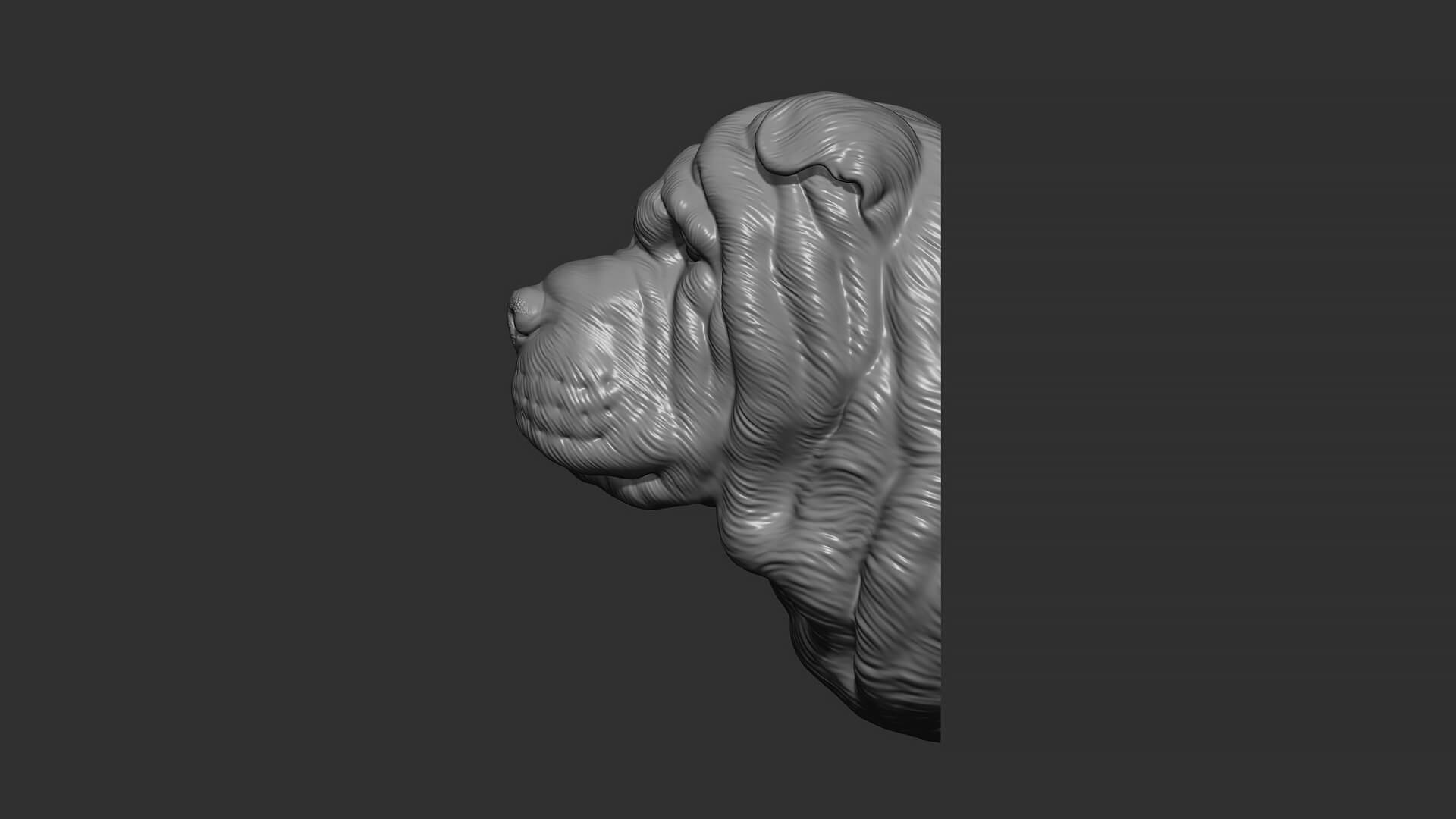 Shar Pei Dog Head - 3D Model by guninnik81