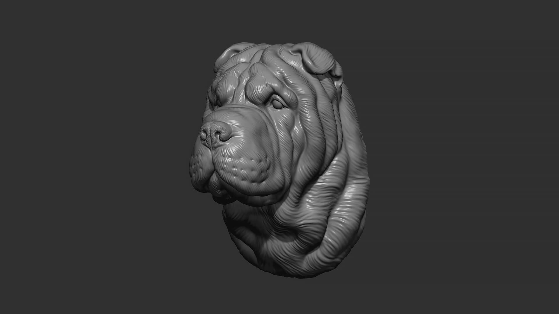 Shar Pei Dog Head - 3D Model by guninnik81