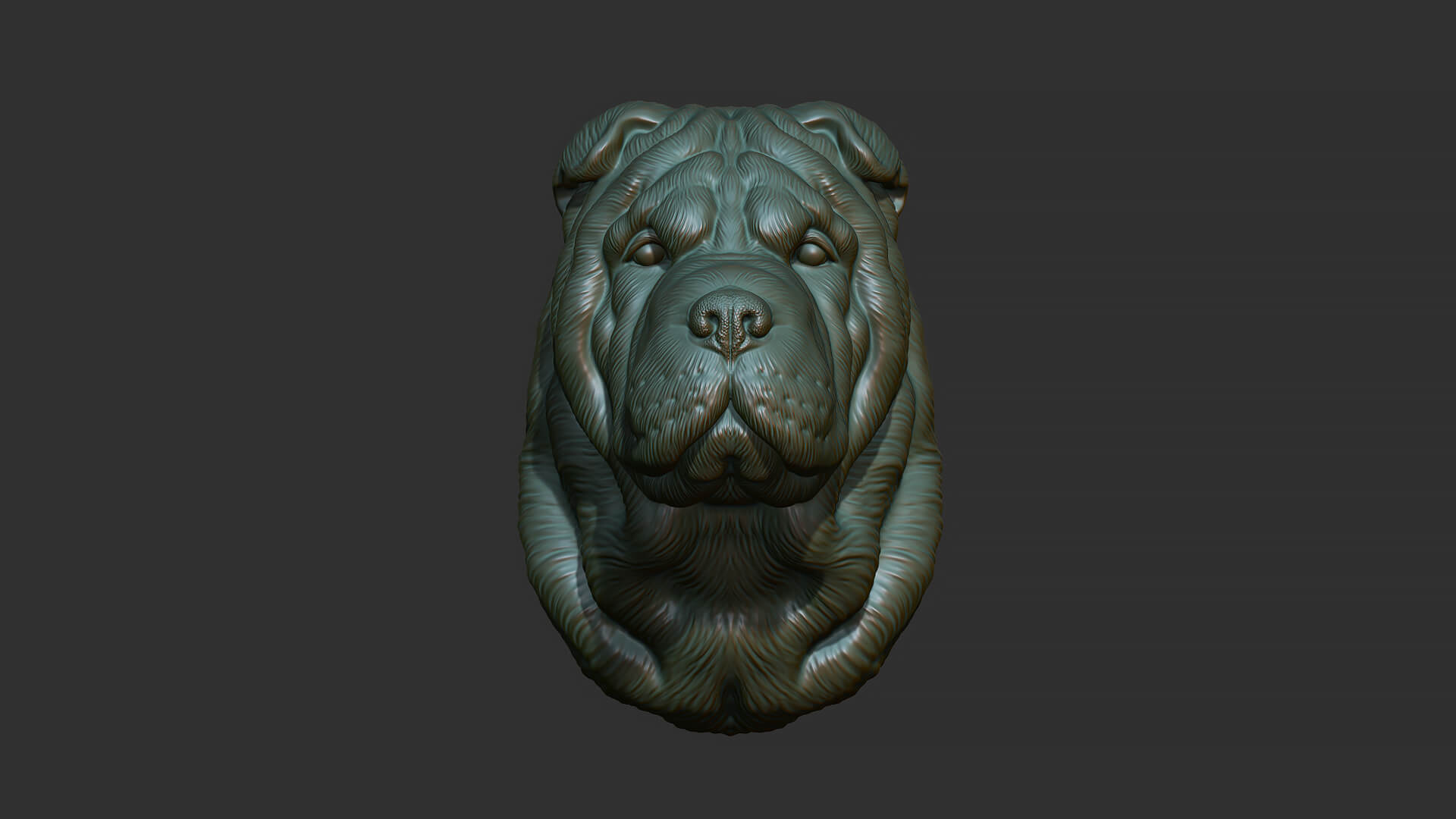 Shar Pei Dog Head - 3D Model by guninnik81