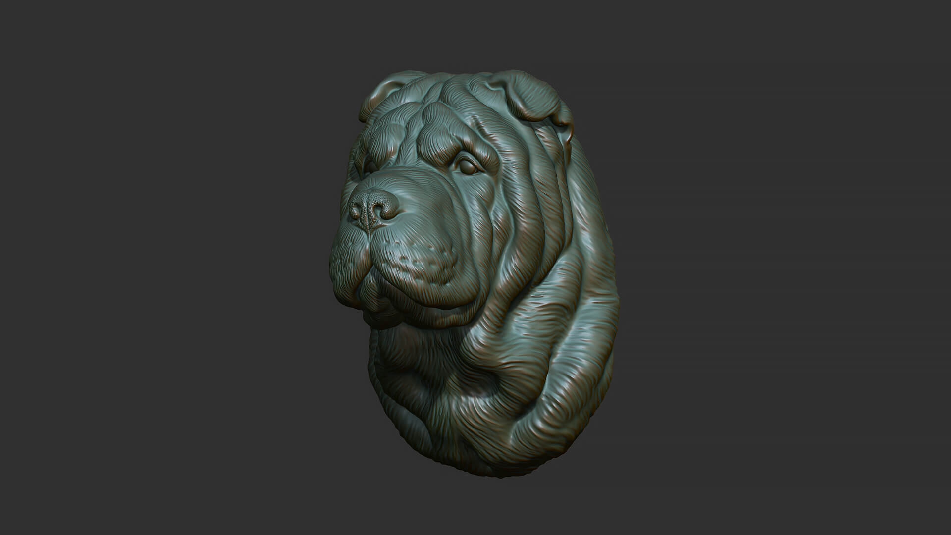 Shar Pei Dog Head - 3D Model by guninnik81