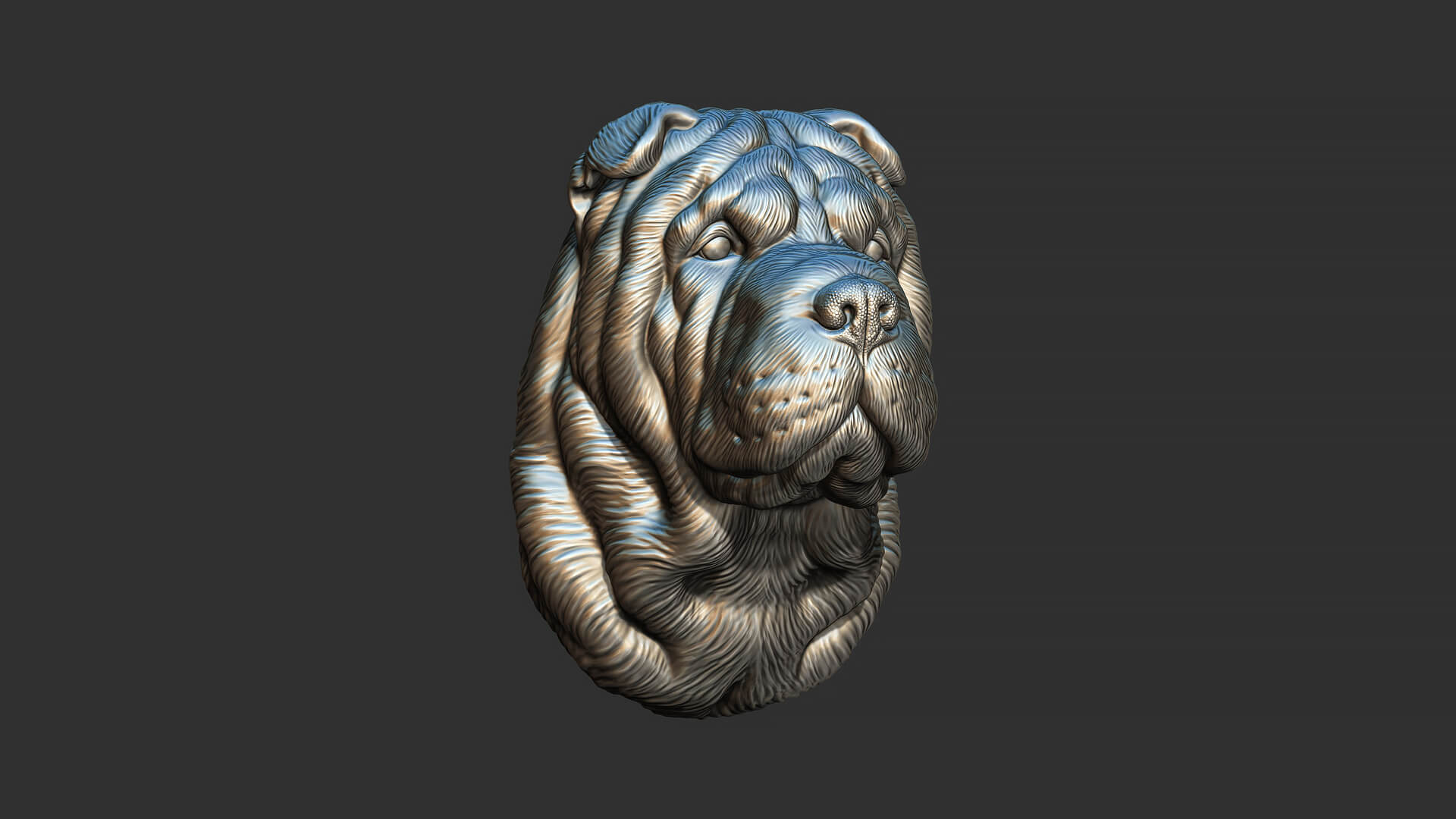 Shar Pei Dog Head - 3D Model by guninnik81