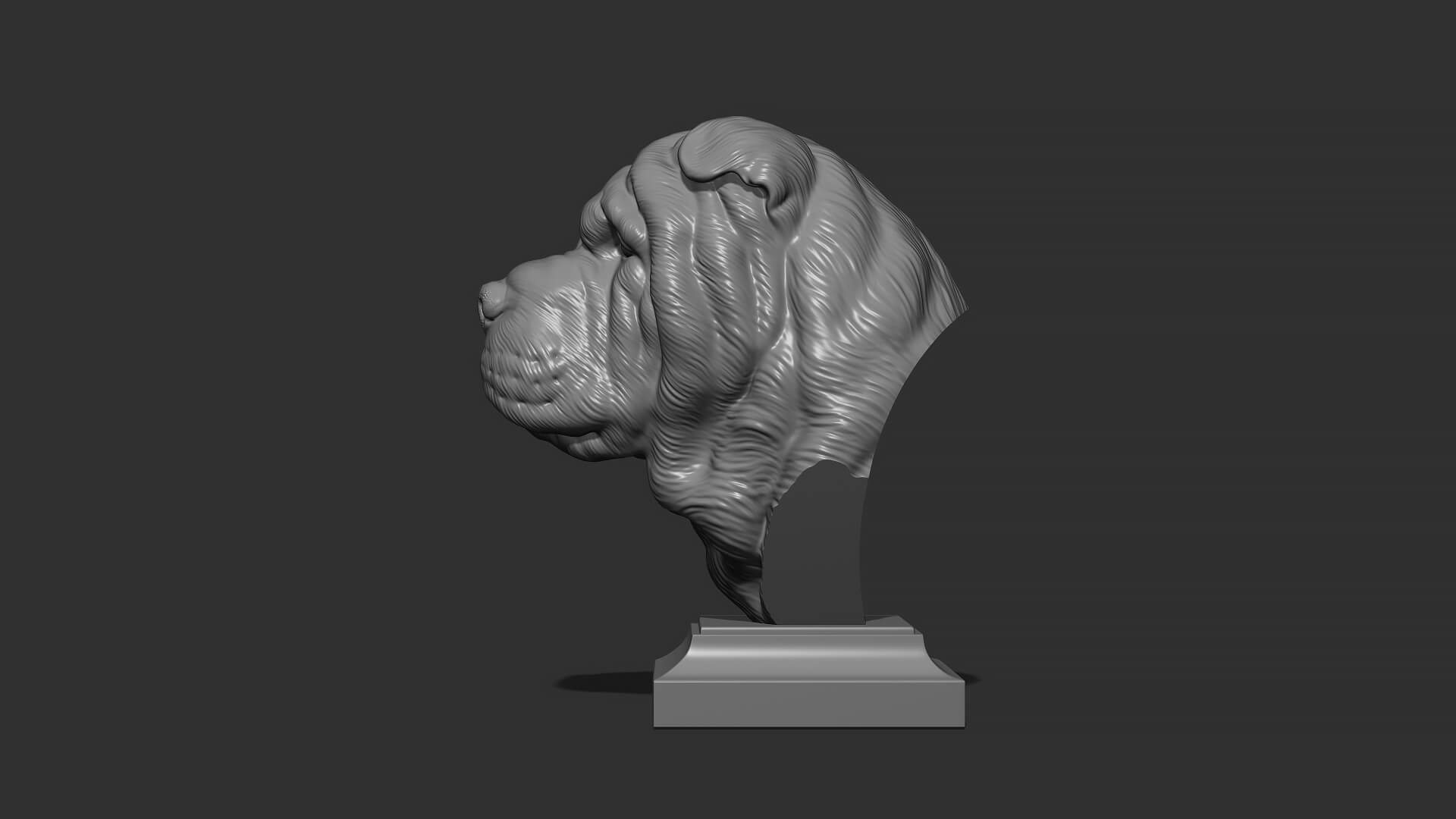 Shar Pei Dog Head - 3D Model by guninnik81