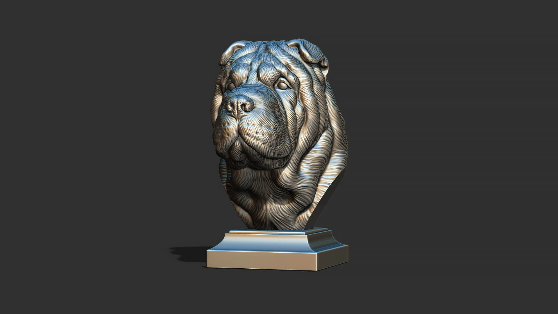 Shar Pei Dog Head - 3D Model by guninnik81
