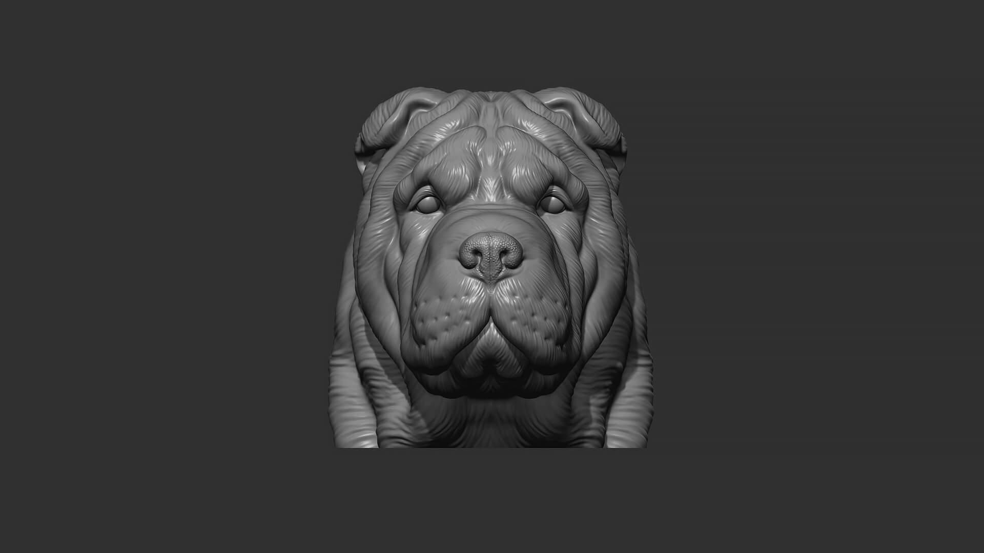 Shar Pei Dog Head - 3D Model by guninnik81