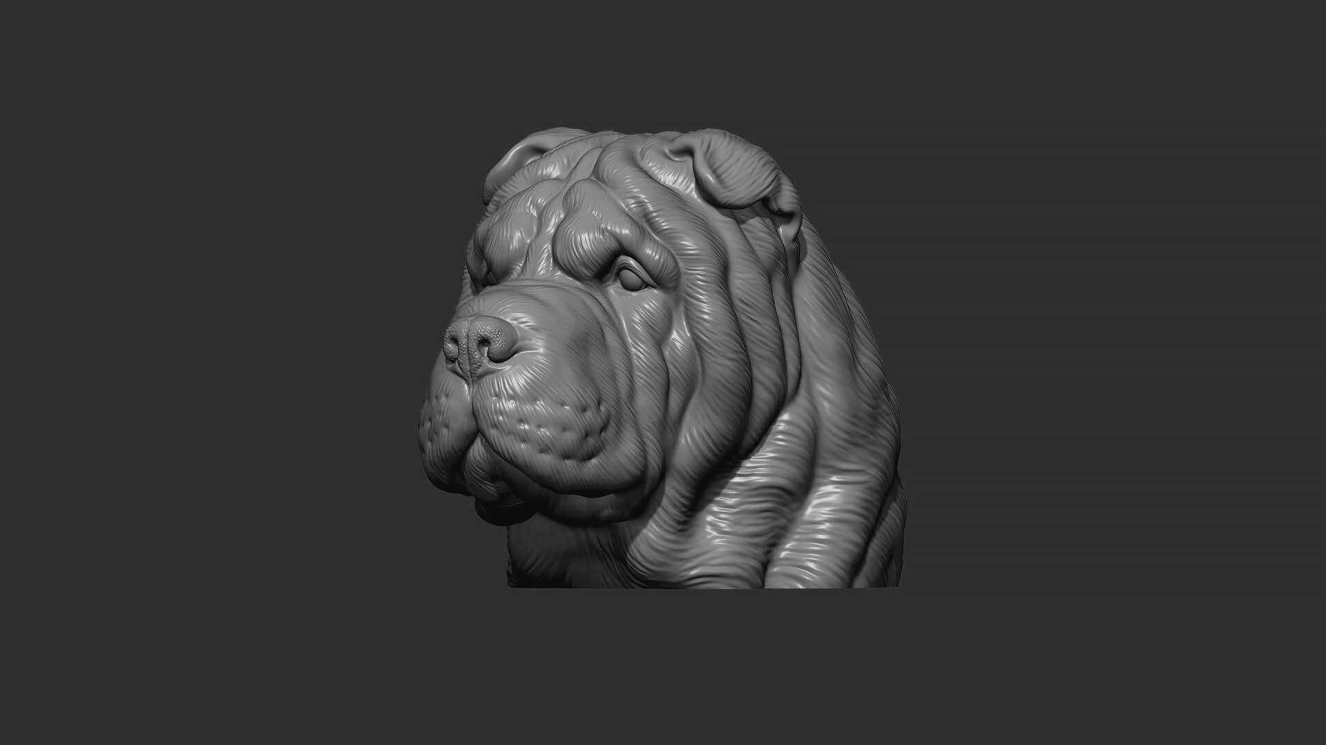 Shar Pei Dog Head - 3D Model by guninnik81