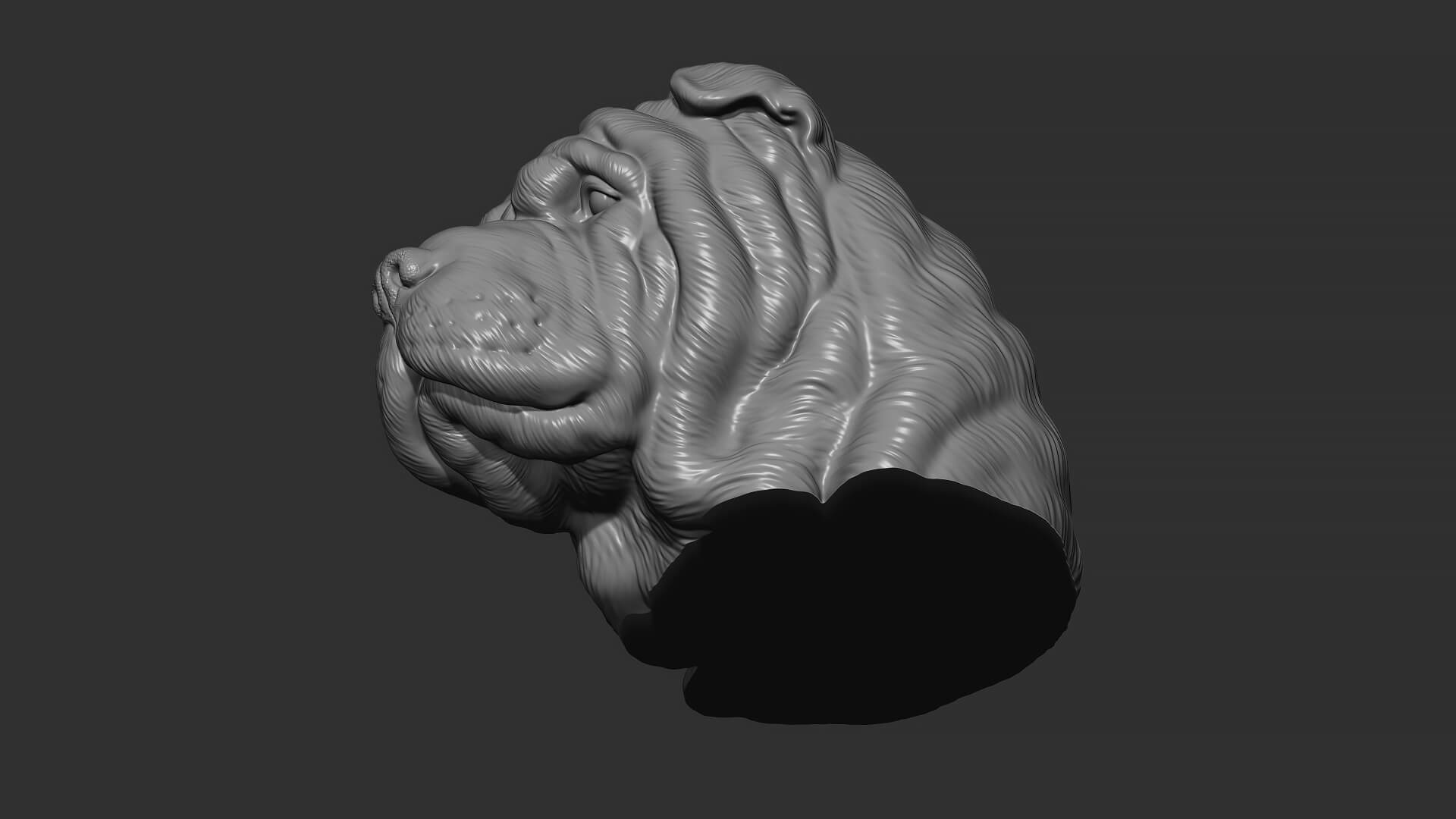 Shar Pei Dog Head - 3D Model by guninnik81