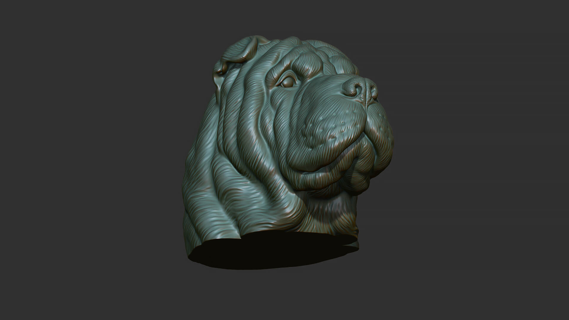 Shar Pei Dog Head - 3D Model by guninnik81