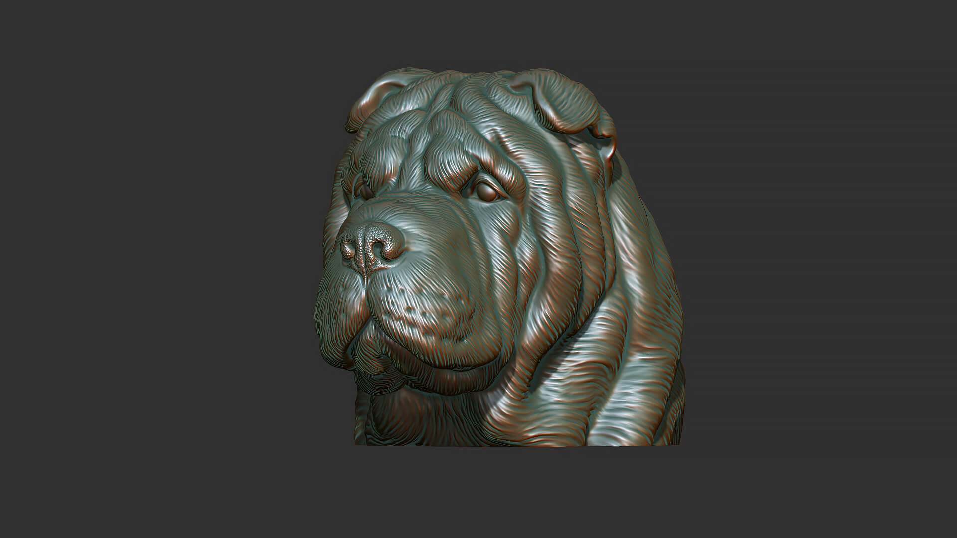 Shar Pei Dog Head - 3D Model by guninnik81