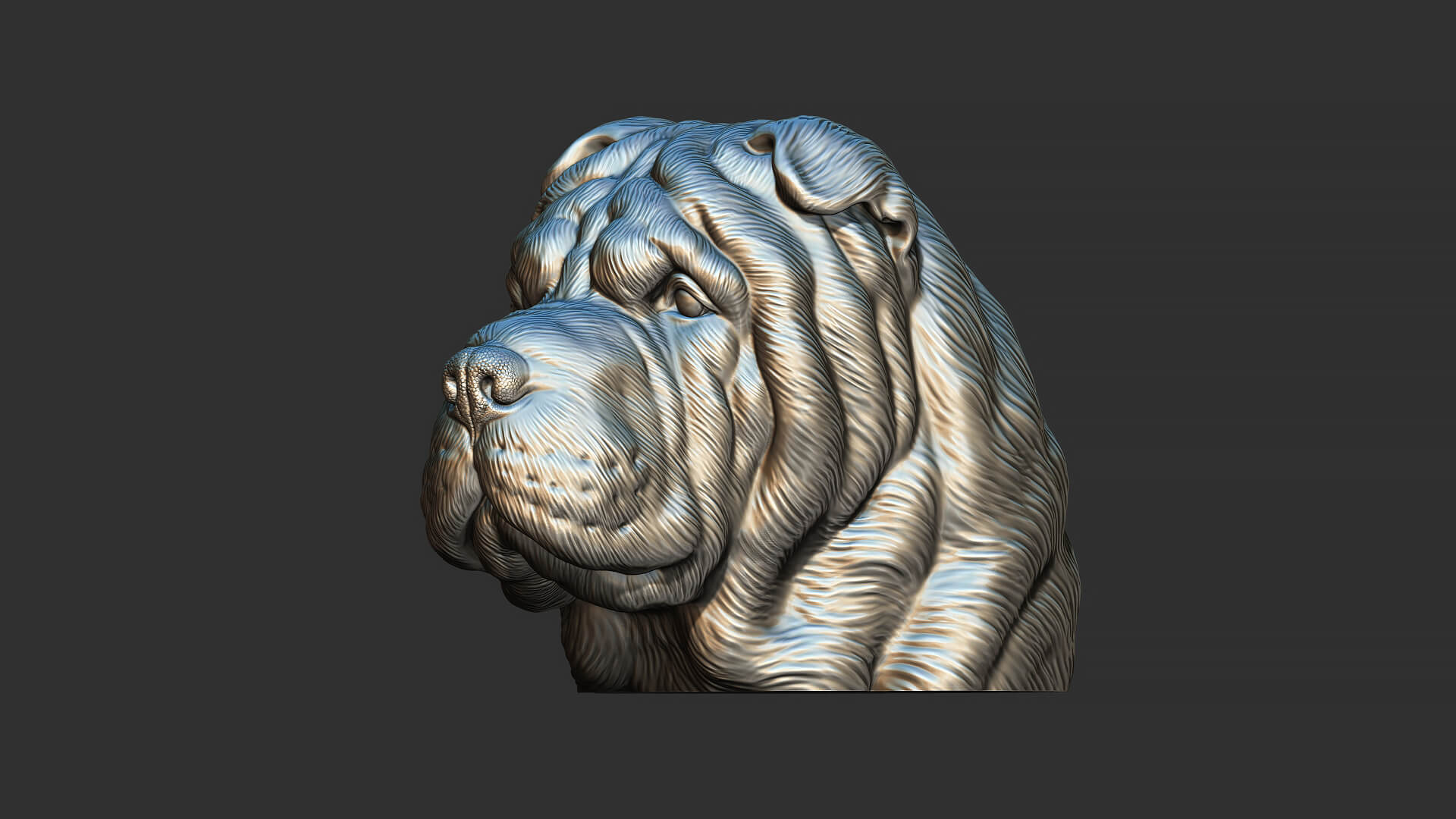 Shar Pei Dog Head - 3D Model by guninnik81