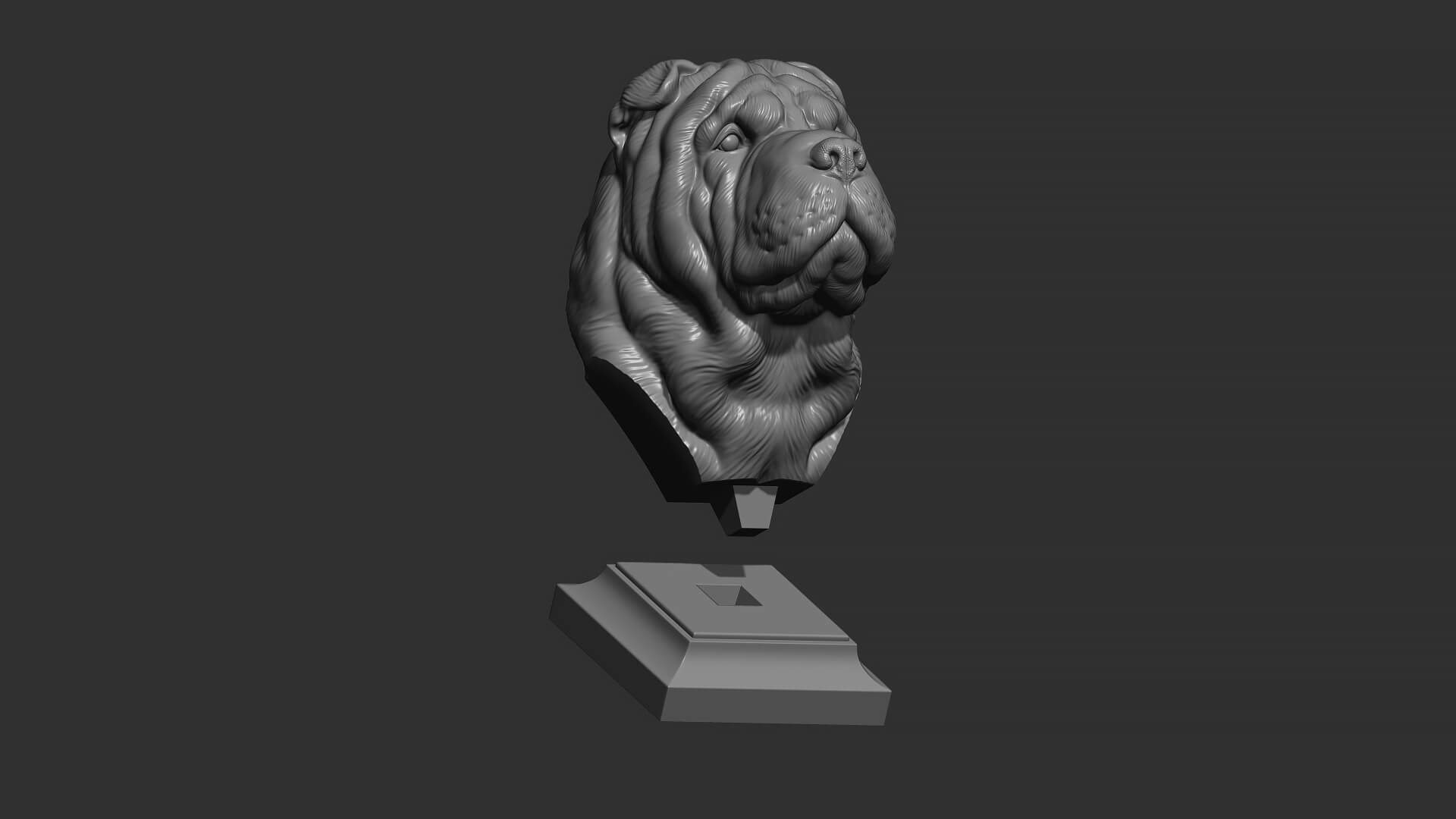Shar Pei Dog Head - 3D Model by guninnik81