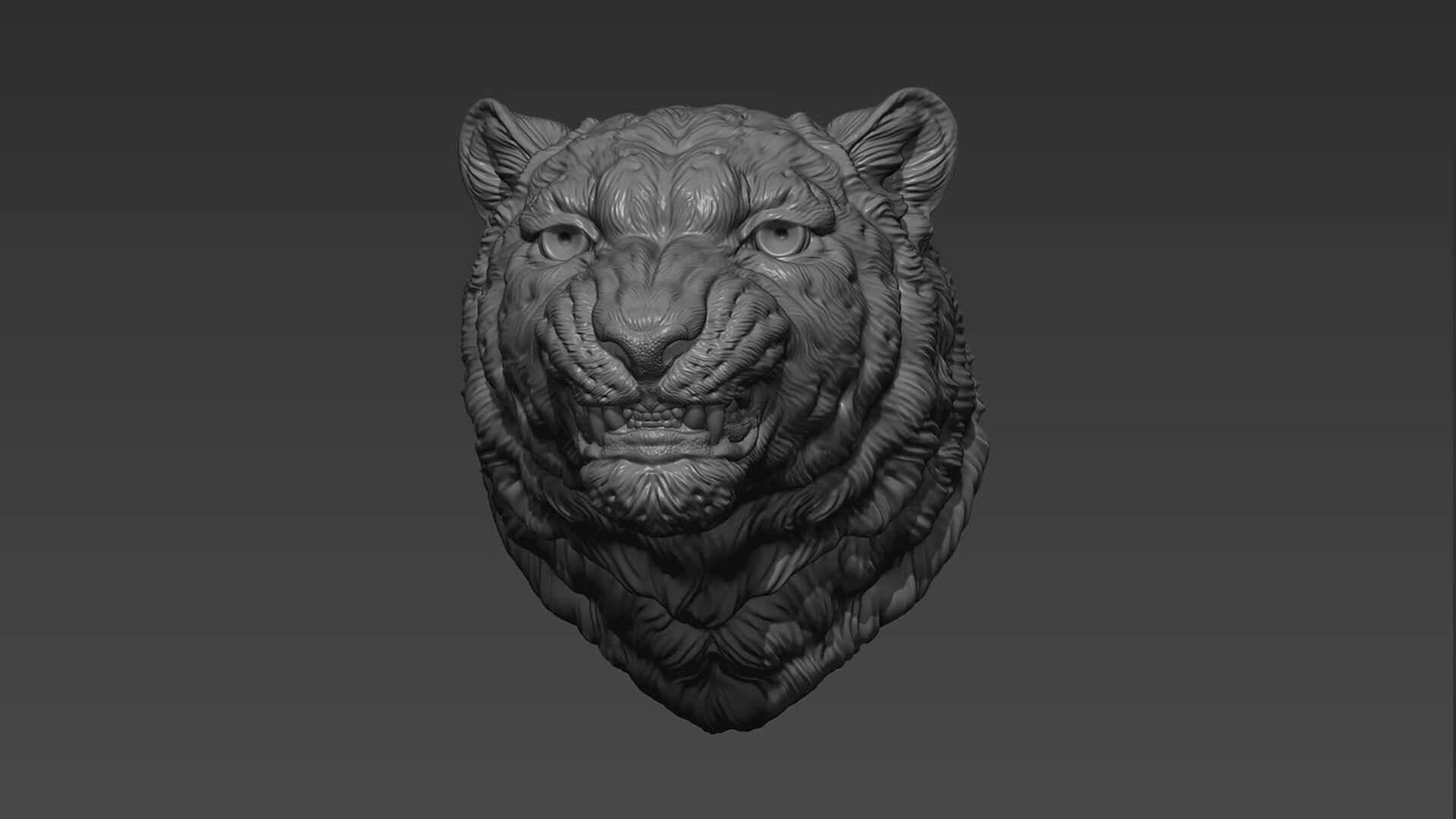 Snow Leopard Grin - 3D Model by guninnik81