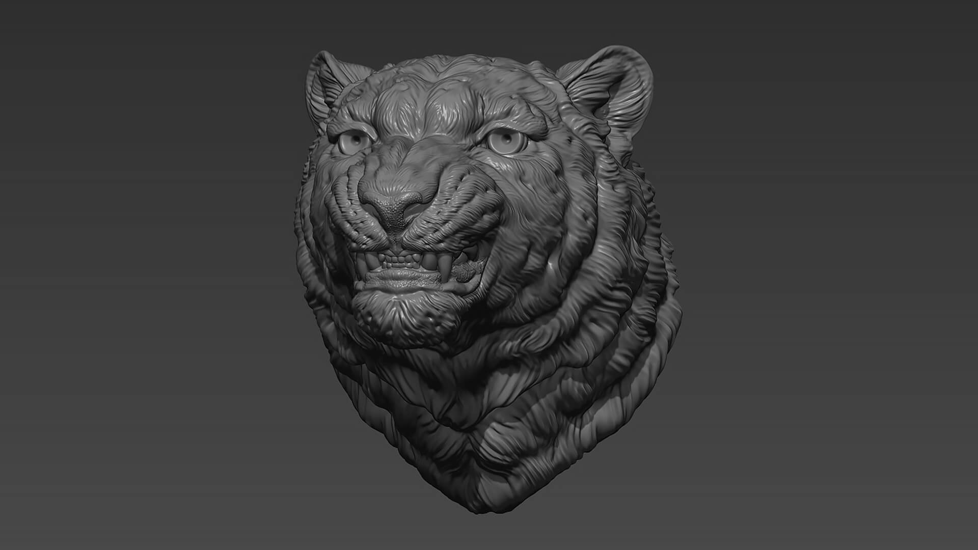 Snow Leopard Grin - 3D Model by guninnik81