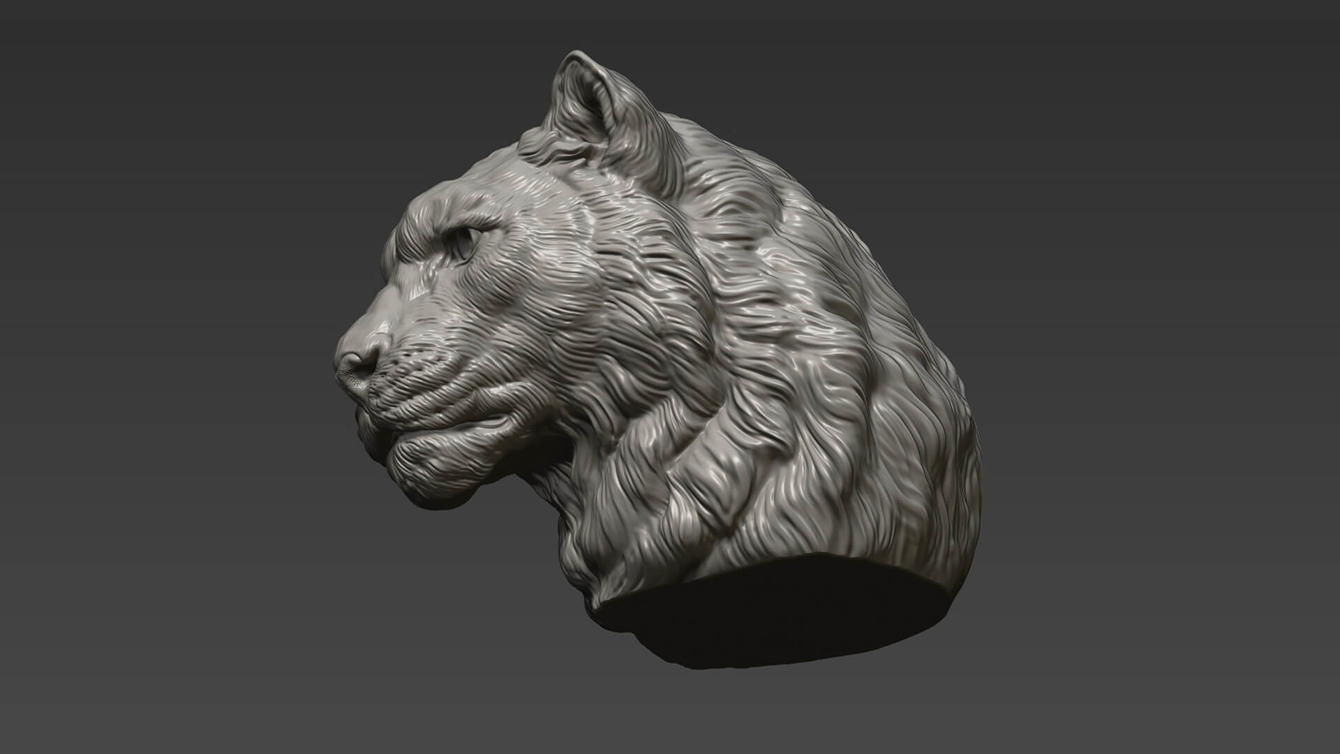 Snow Leopard Irbis - 3D Model by guninnik81