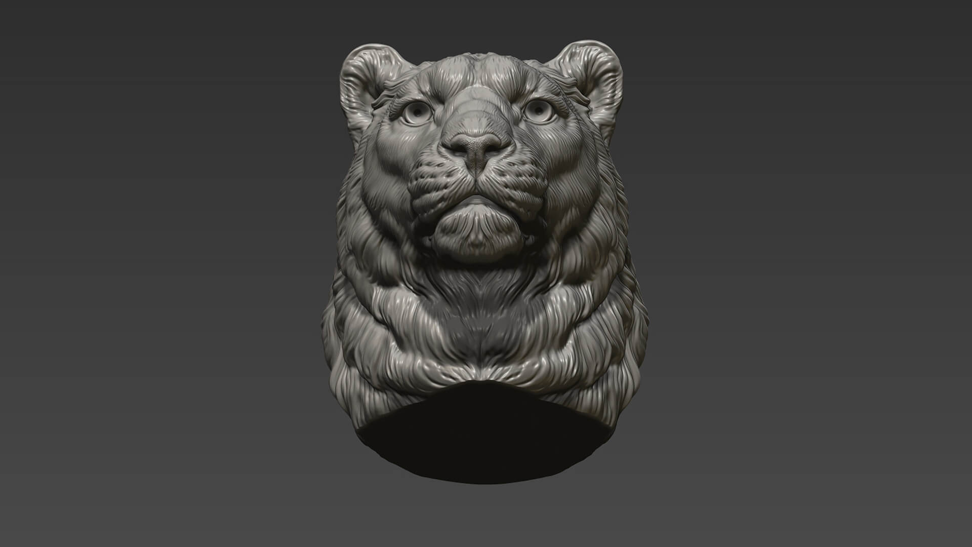 Snow Leopard Irbis - 3D Model by guninnik81