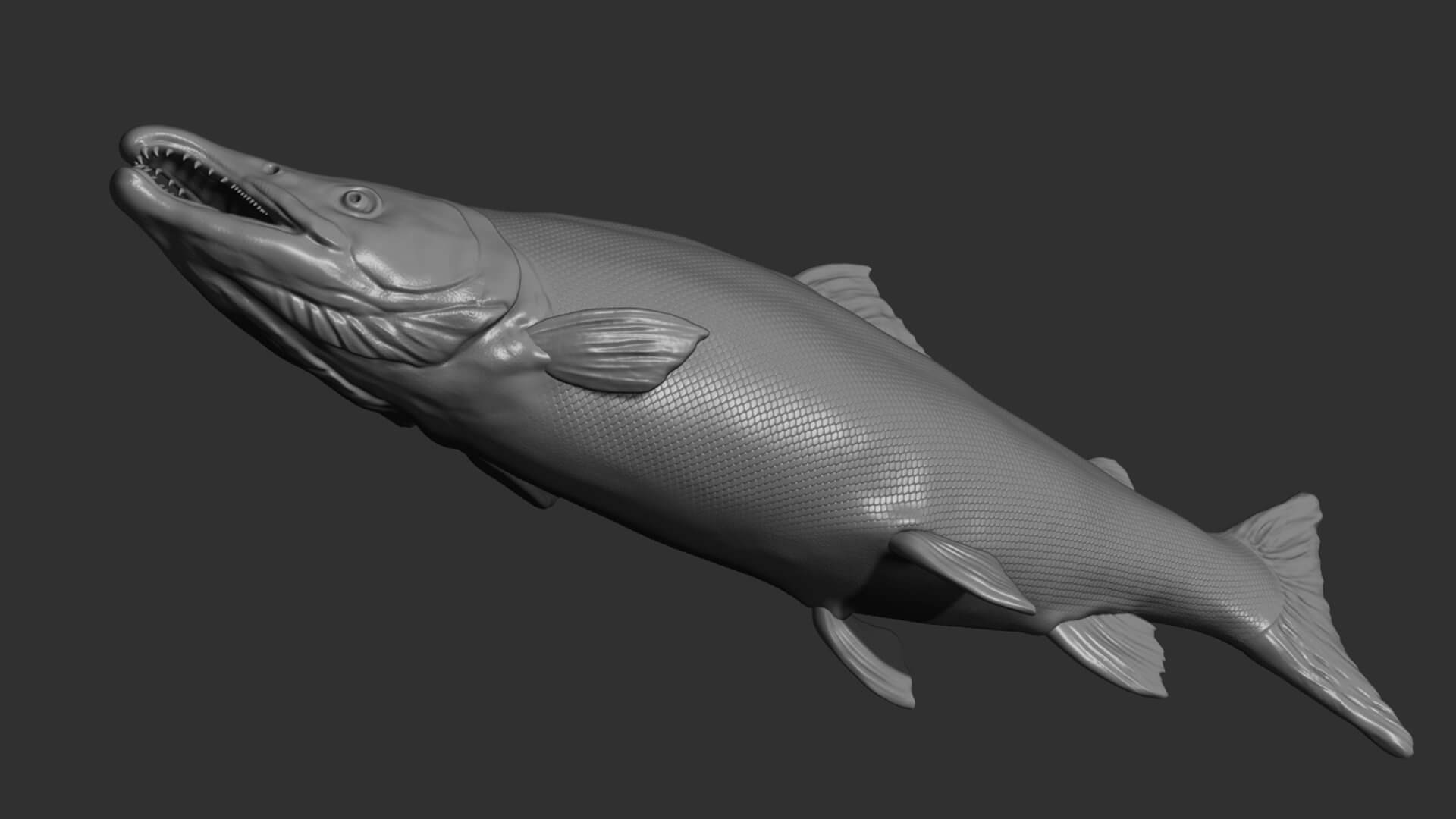 Sockeye Salmon - 3D Model by guninnik81