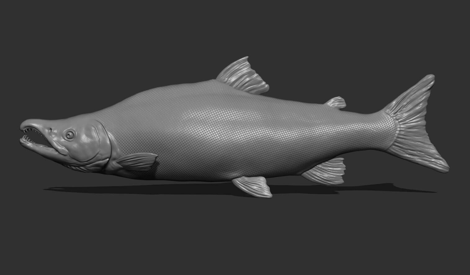 Sockeye Salmon - 3D Model by guninnik81