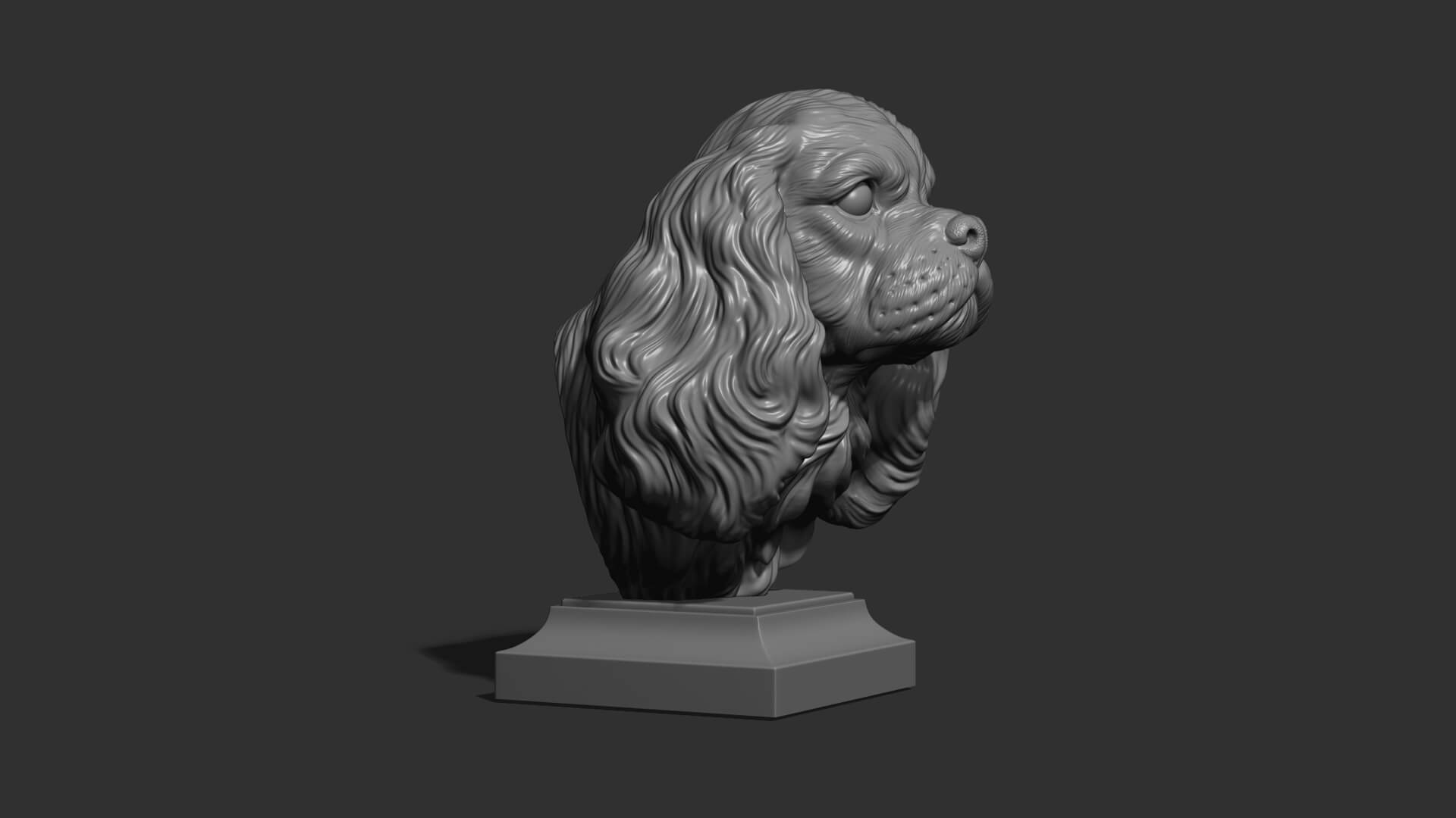 Spaniel Cavalier King Charles Bust - 3D Model by guninnik81
