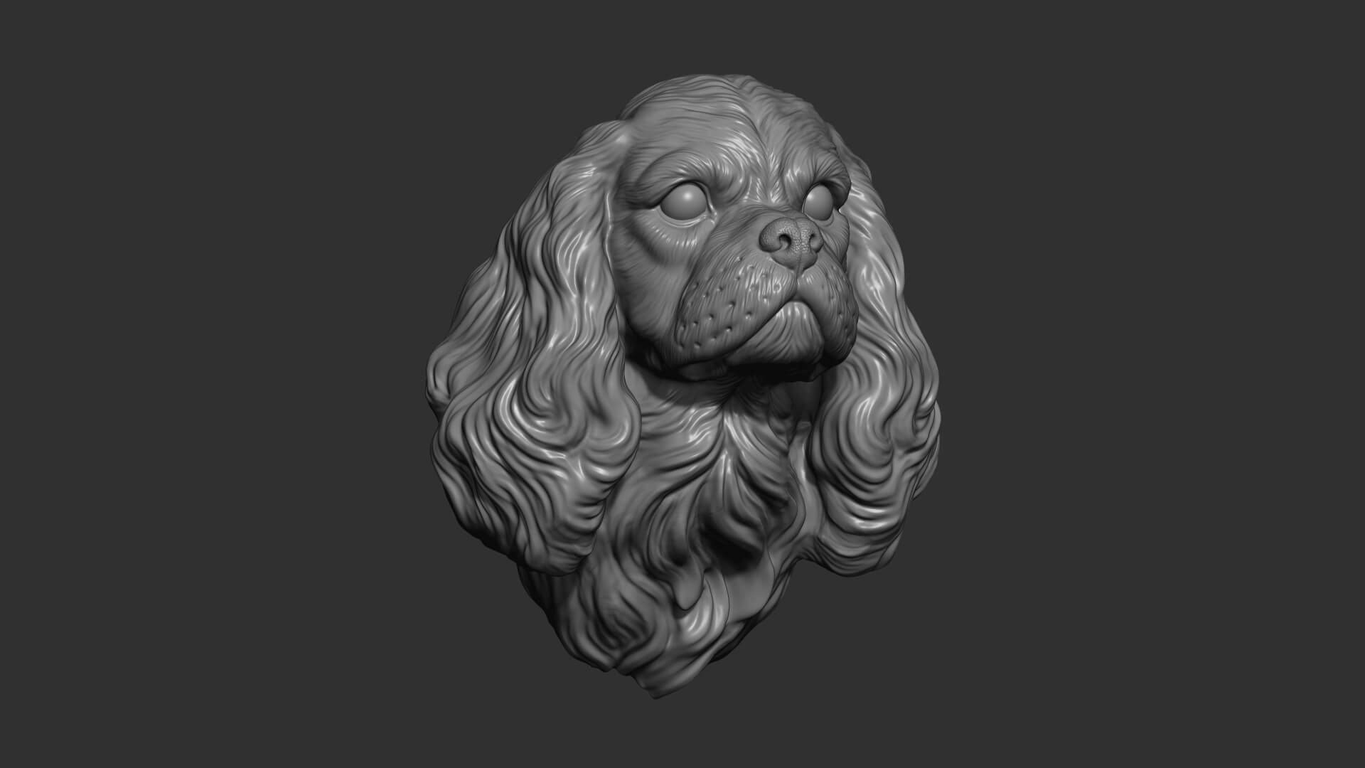 Spaniel Cavalier King Charles Bust - 3D Model by guninnik81