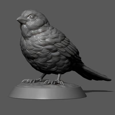 Sparrow on The Base - 3D Model by guninnik81