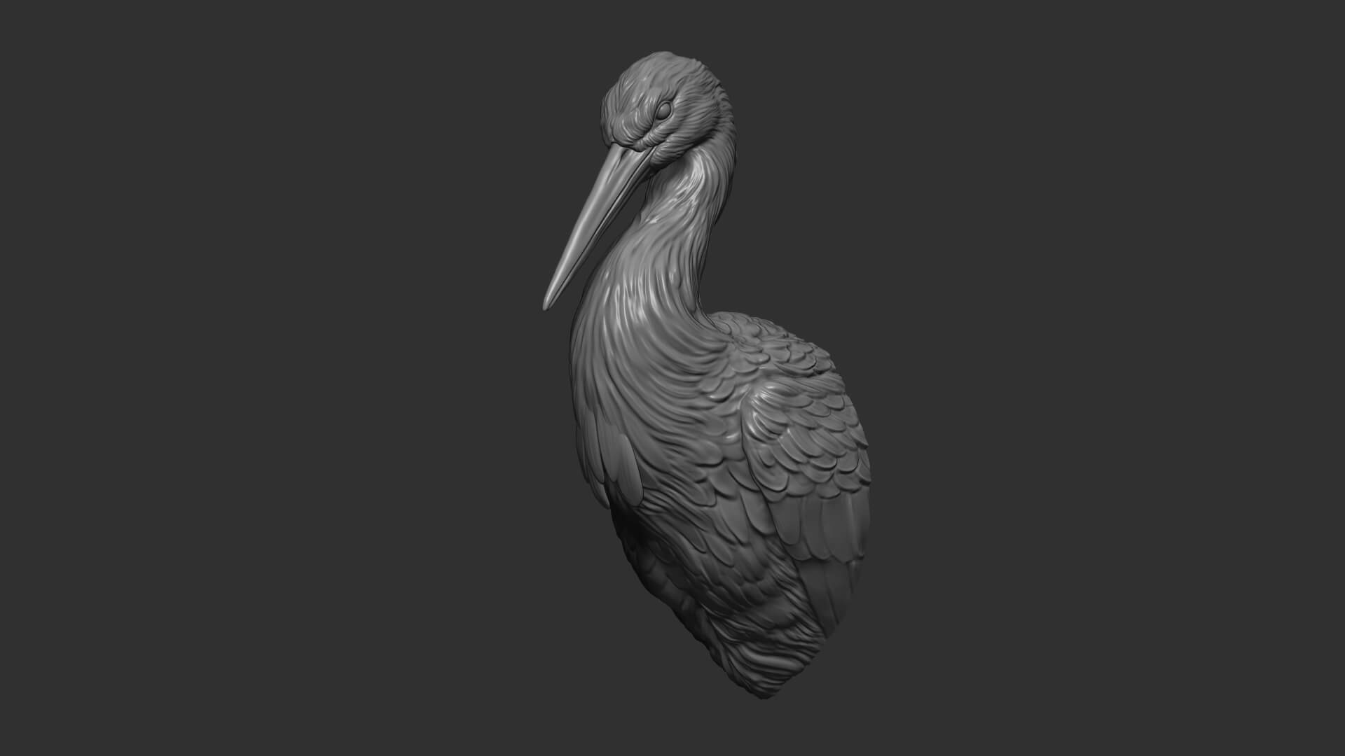Stork Bust Bird - 3D Model by guninnik81