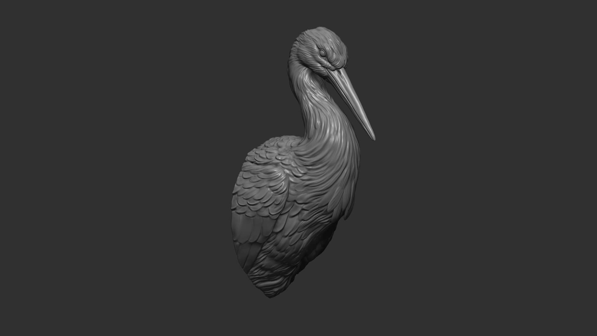 Stork Bust Bird - 3D Model by guninnik81